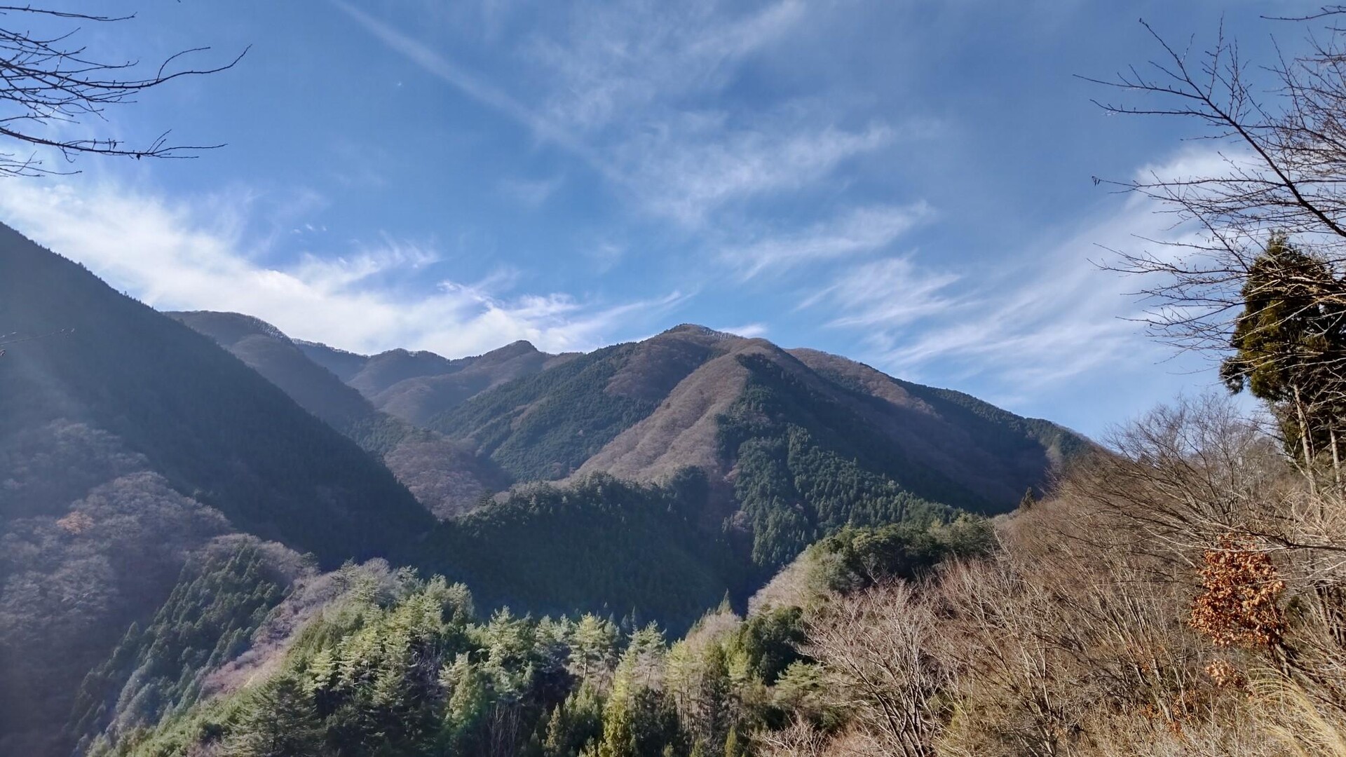 初戸BS〜権現山北尾根・鋸尾根〜杉平入口BS+α / 441Mさんの権現山・奈良倉山の活動データ | YAMAP / ヤマップ