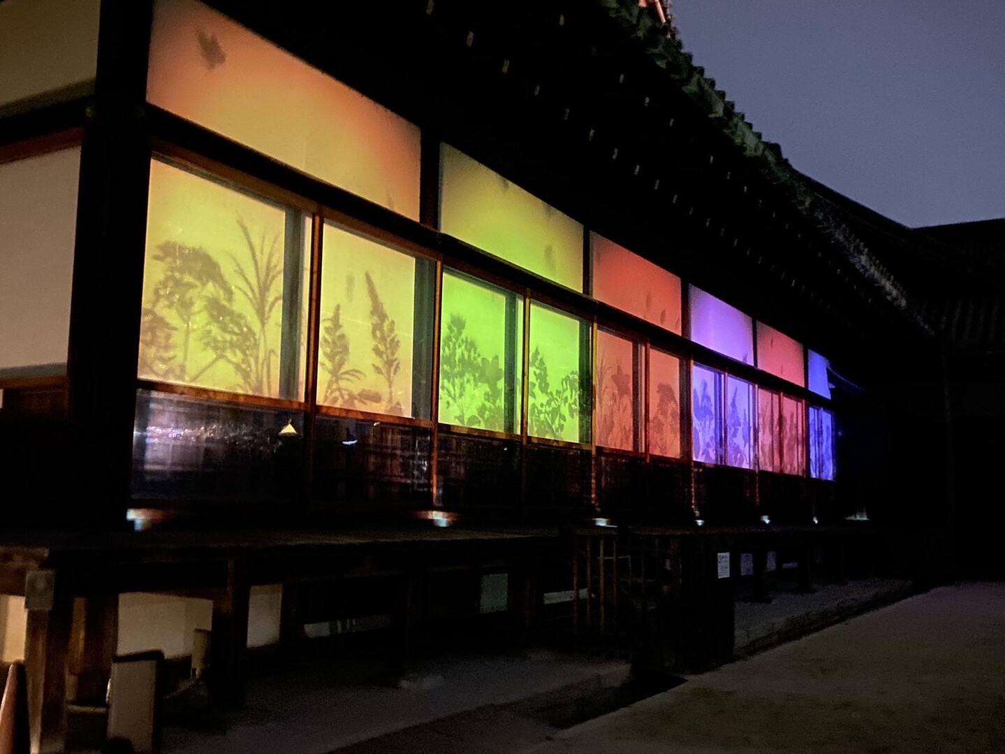 NAKED FLOWERS 2023 秋... / yukorinさんのモーメント | YAMAP / ヤマップ