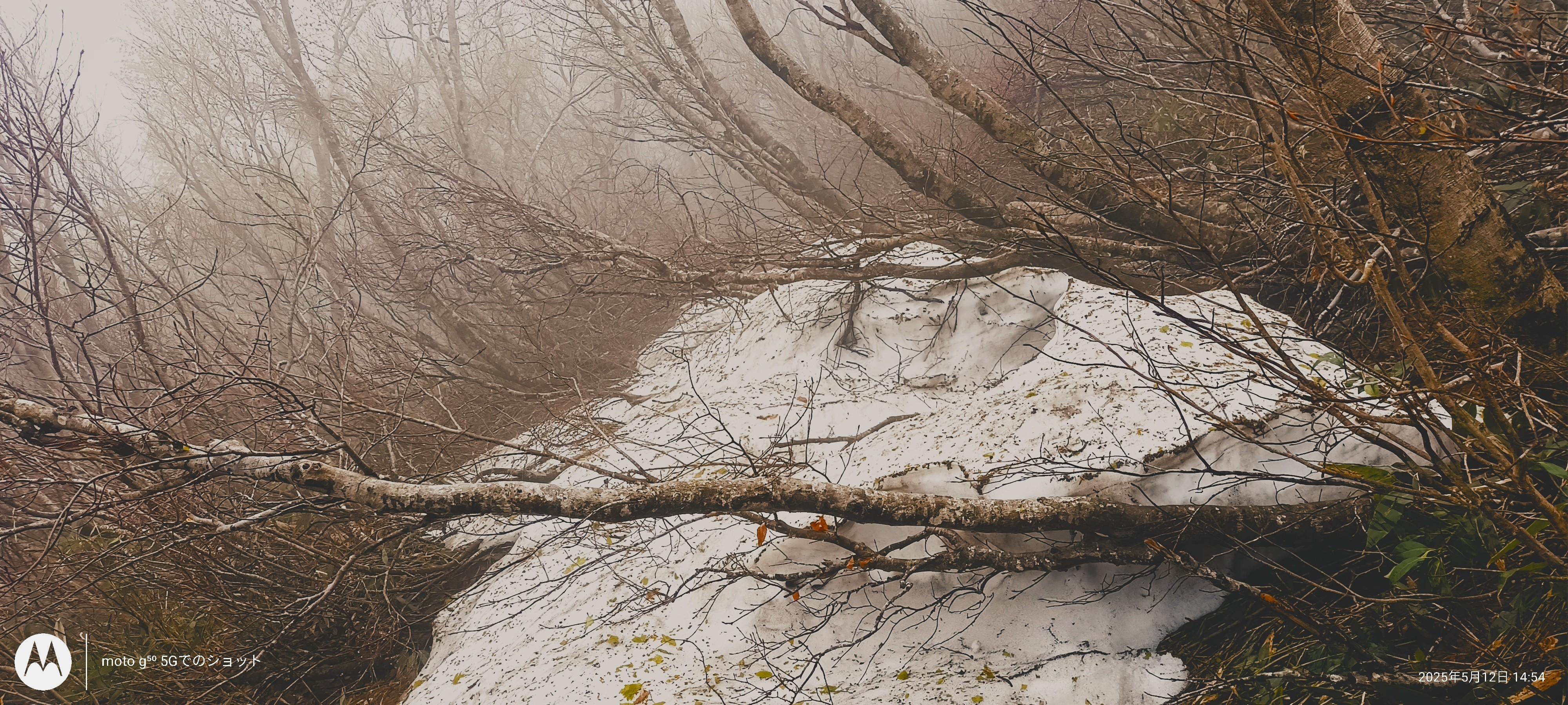 これから登る方へ 八咫柄山〜菱ヶ岳、菱ヶ... / man forestさんのモーメント | YAMAP / ヤマップ