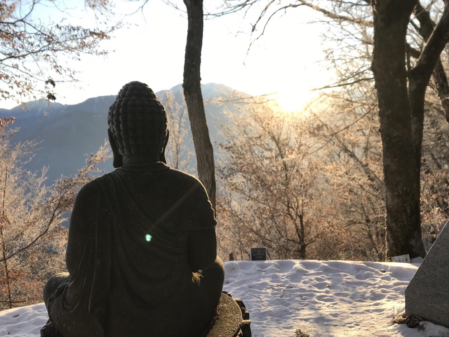 戸倉山（伊那富士） / takuさんの戸倉山（伊那富士）の活動データ | YAMAP / ヤマップ