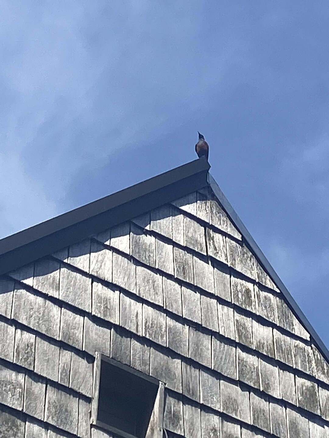 ゆっくり登山で音の花温泉へ。生駒山・神津嶽・大原山-2024-06-08 / MASAEさんの生駒山・神津嶽・大原山の活動データ | YAMAP / ヤマップ