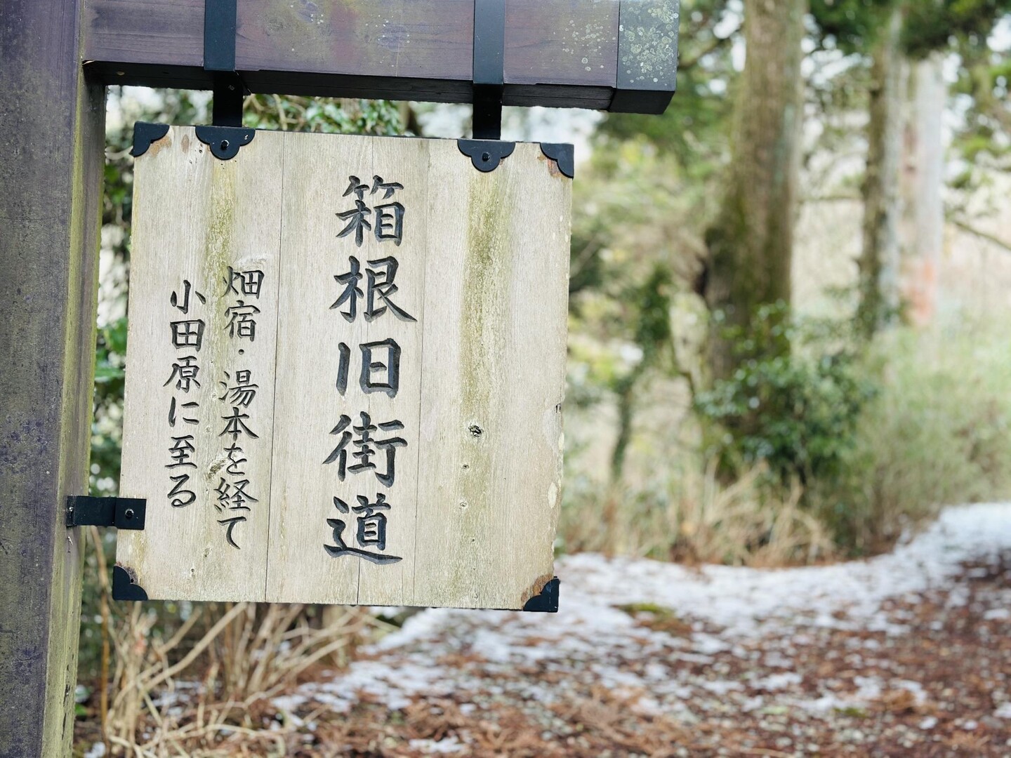 【ゆる山登山Vol.1】箱根山・神山-2024.02.11 / yamalamaさんの箱根山・神山の活動データ | YAMAP / ヤマップ