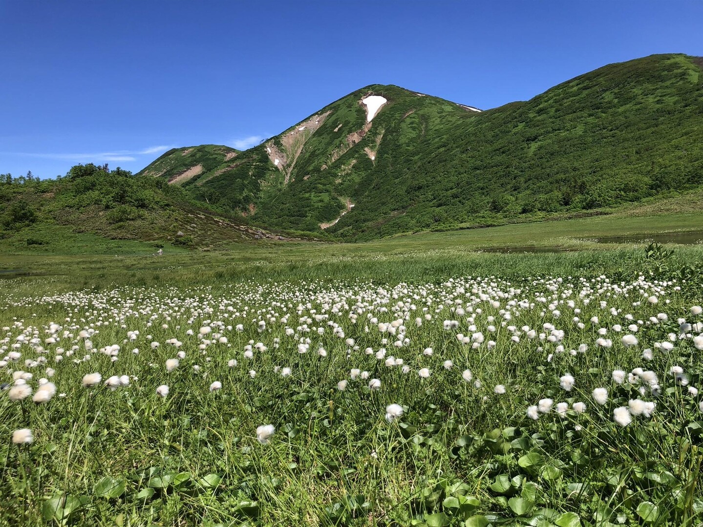 火打山・影火打 / MOさんの妙高山・火打山の活動日記 | YAMAP / ヤマップ