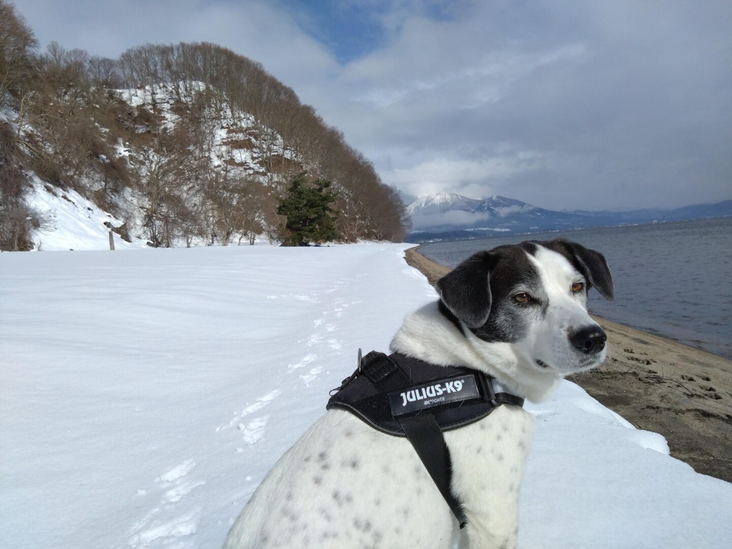 材木山 / kuru−ruさんの会津若松市の活動日記 | YAMAP / ヤマップ