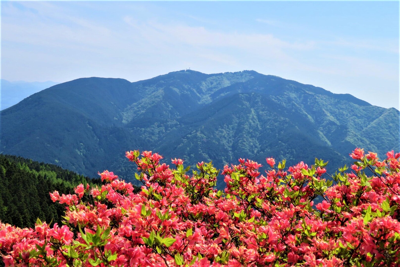 大和葛城山 / terryさんの金剛山・二上山・大和葛城山の活動データ | YAMAP / ヤマップ