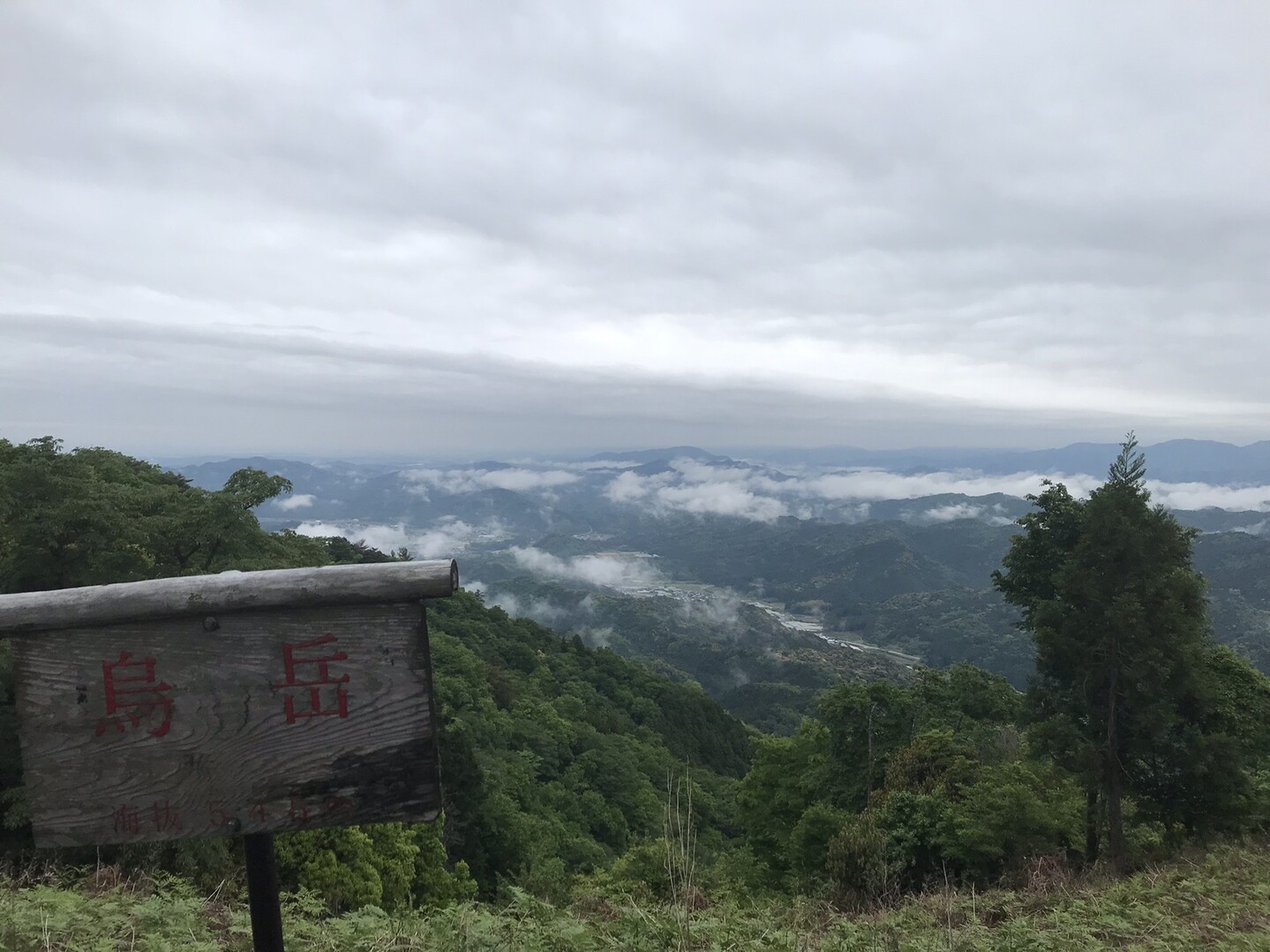 雲海とユキモチソウの烏岳→ゆとりの丘 / issanさんの烏岳の活動データ | YAMAP / ヤマップ