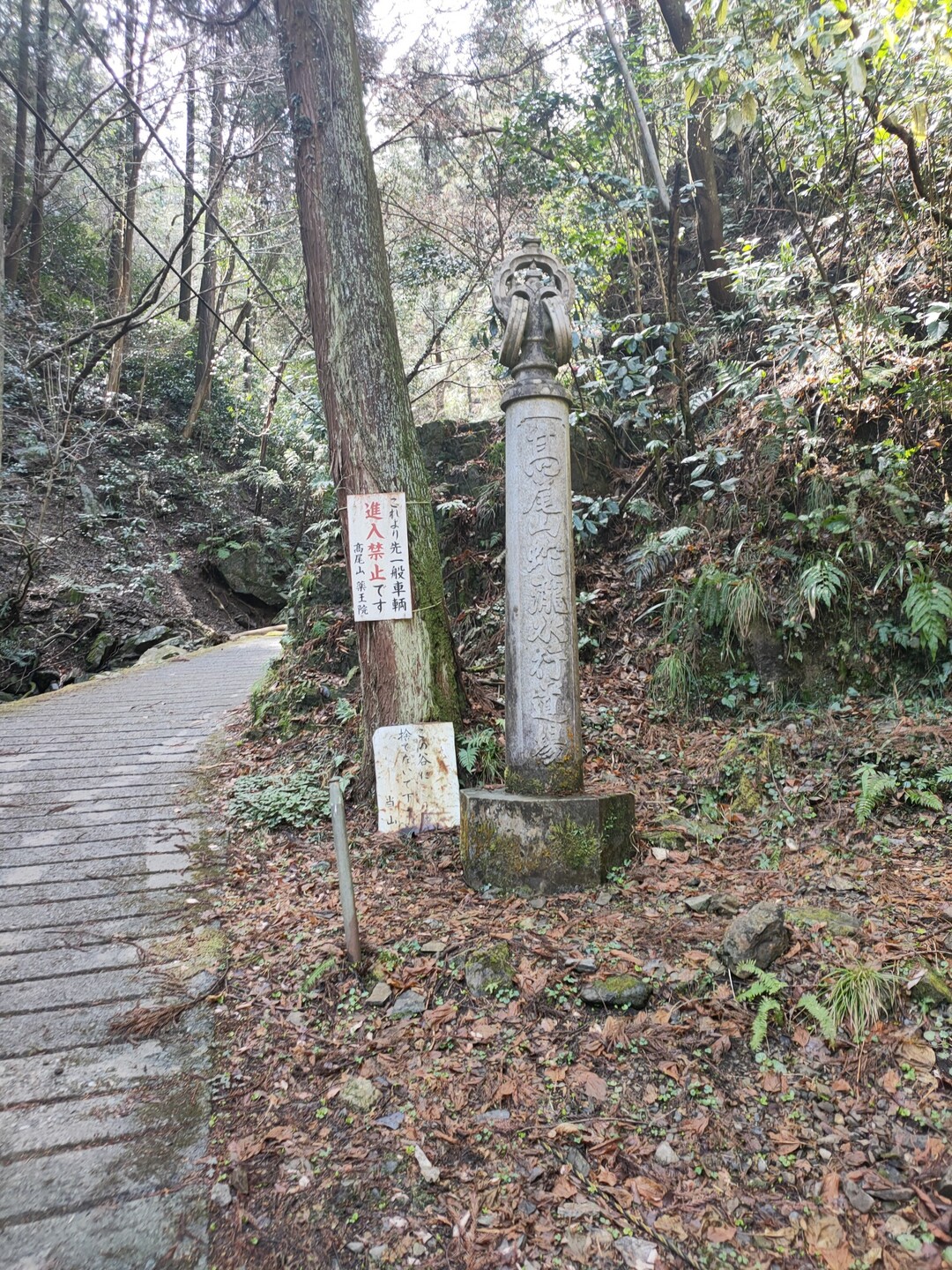 Mamincoさんの投稿したフィールドメモ | YAMAP / ヤマップ