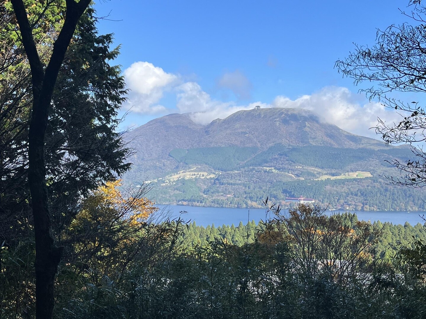 海ノ平-2024-11-13 / Ma-buさんの箱根山・神山の活動データ | YAMAP / ヤマップ