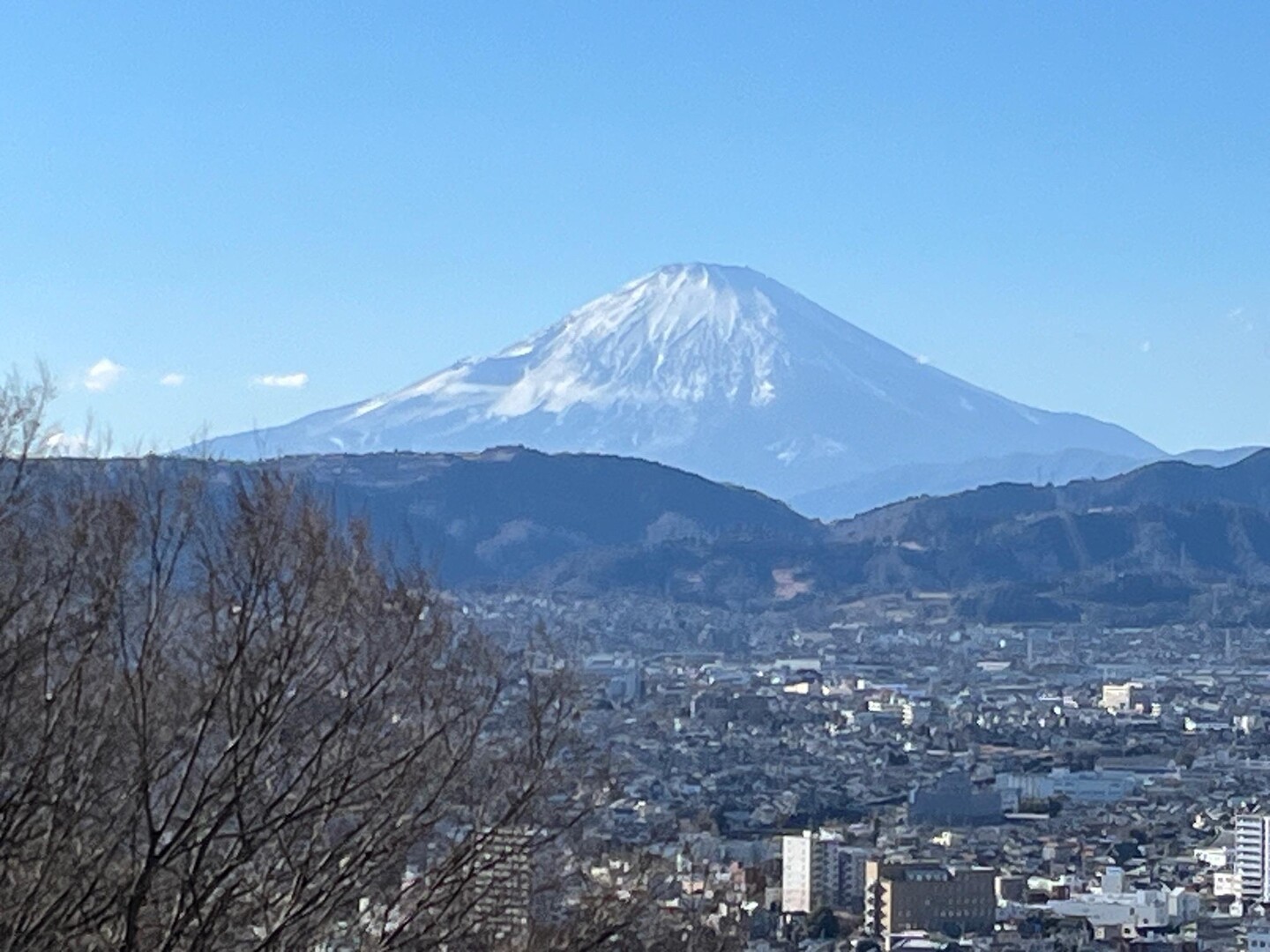 新年山行 / Y-kobaさんの弘法山の活動データ | YAMAP / ヤマップ