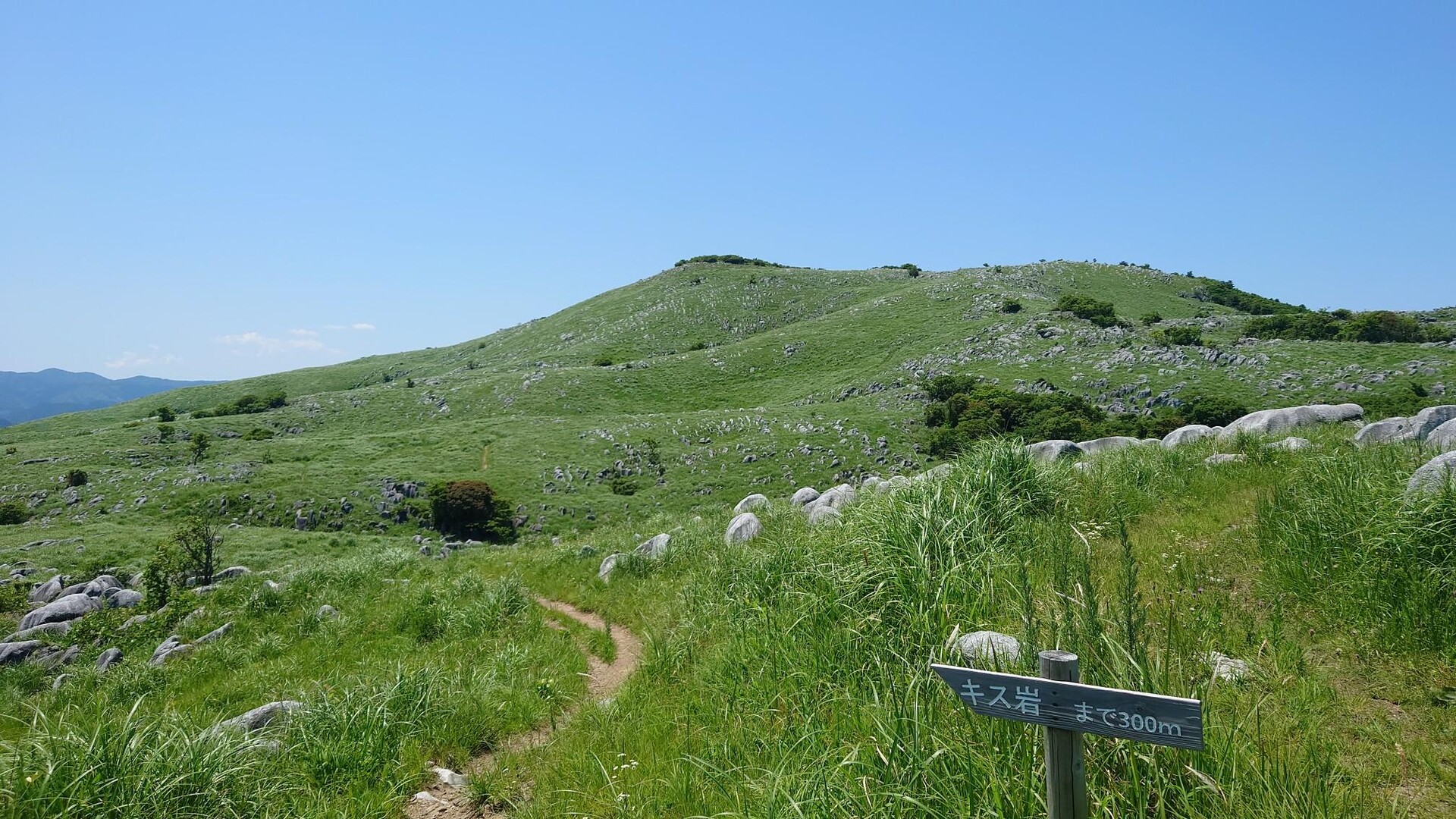 ☔梅雨が来る前に、なんちゃってトレランで平尾台・貫山・岩山へ / V8-Dさんの平尾台・貫山・水晶山の活動データ | YAMAP / ヤマップ