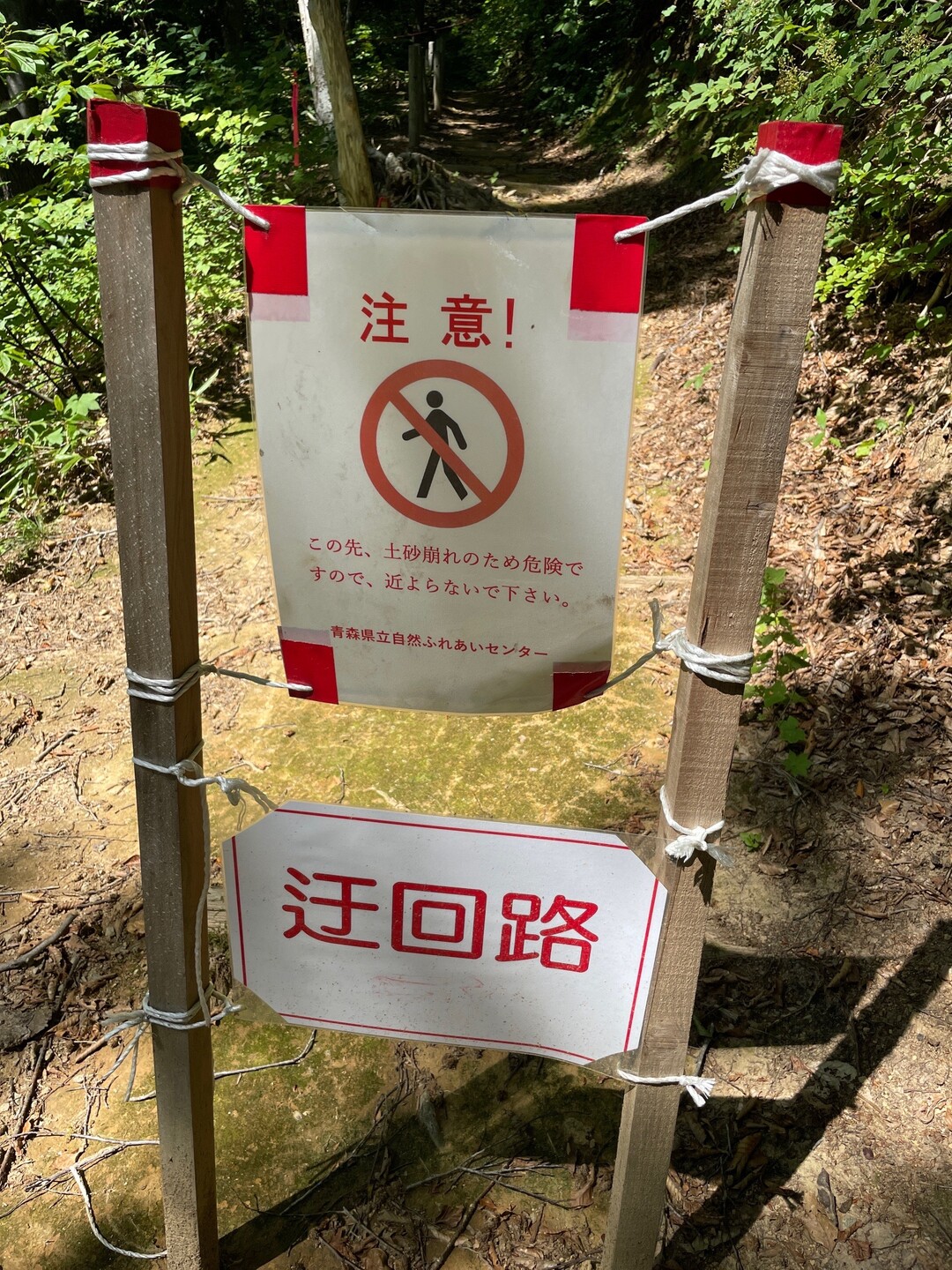 KIKIさんの投稿したフィールドメモ | YAMAP / ヤマップ