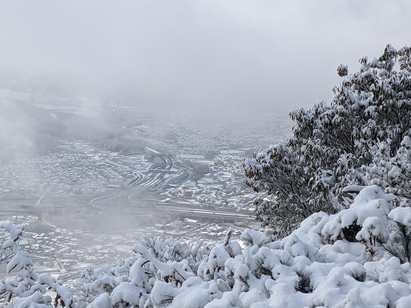 木ノ宗山・二ヶ城山・松笠山南峰・松笠山・牛田山・尾長山・二葉山 / jonasanさんの二ヶ城山・松笠山の活動データ | YAMAP / ヤマップ