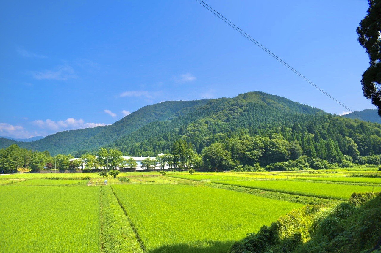 北信越インターハイに行ってきました。 コ... / Sugarさんのモーメント | YAMAP / ヤマップ