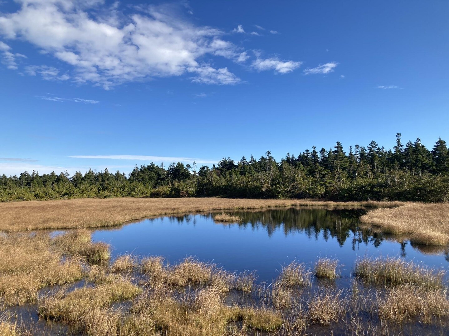 田代山・帝釈山 / JIROさんの田代山・帝釈山の活動日記 | YAMAP / ヤマップ