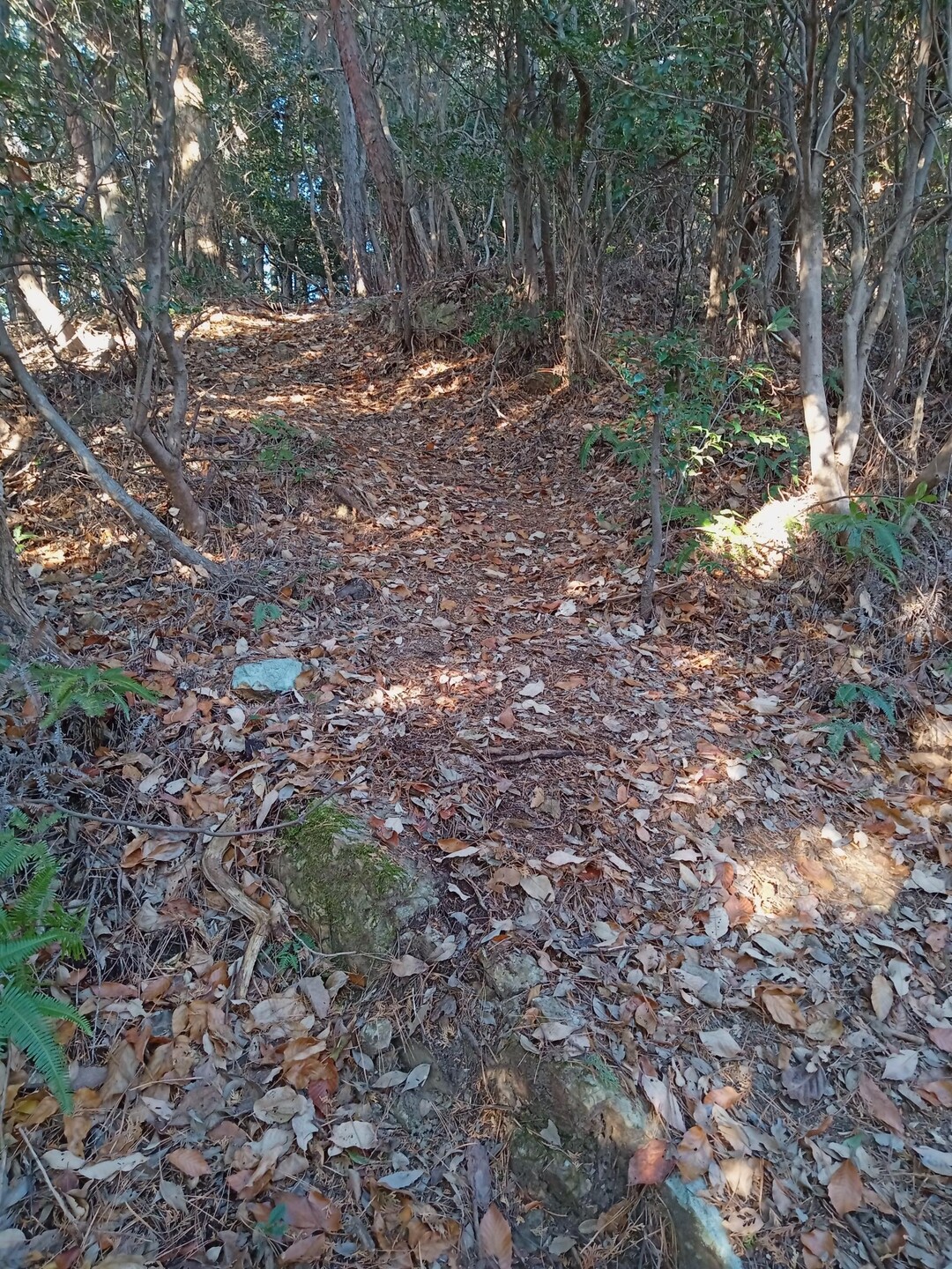 TAOさんの投稿したフィールドメモ | YAMAP / ヤマップ