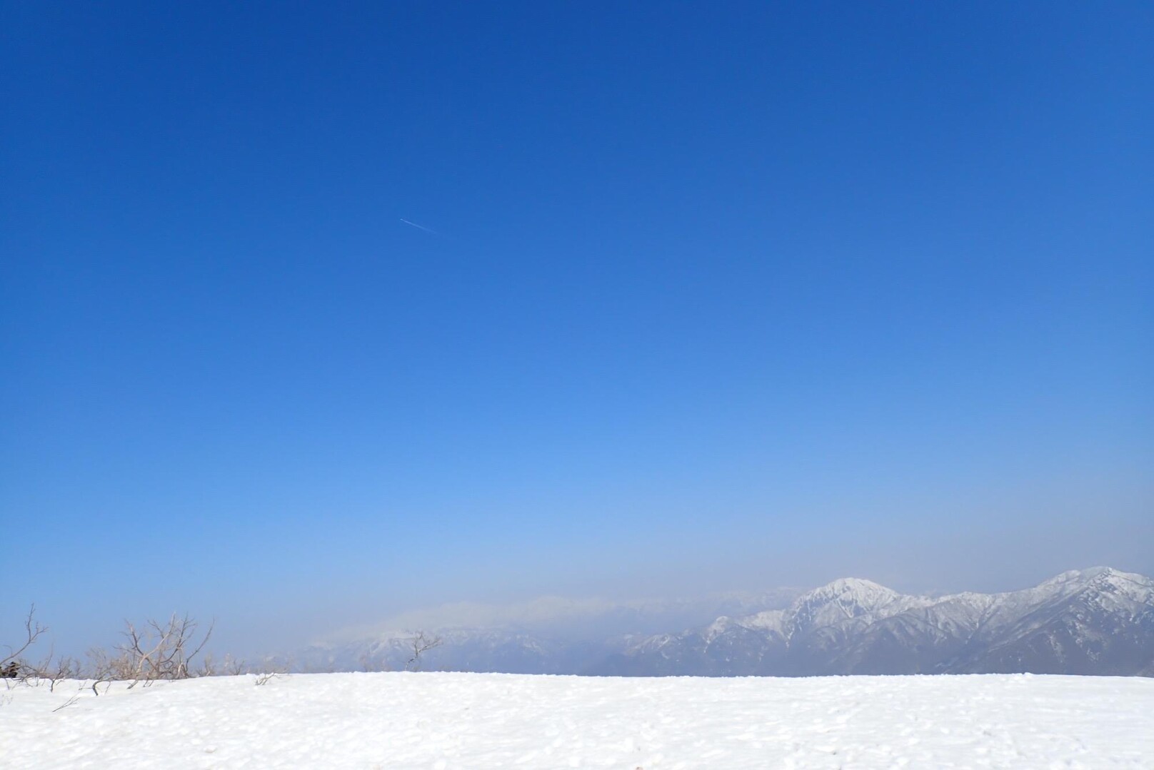 前山・銀杏峯 / rey_seroさんの銀杏峰・部子山の活動データ | YAMAP / ヤマップ