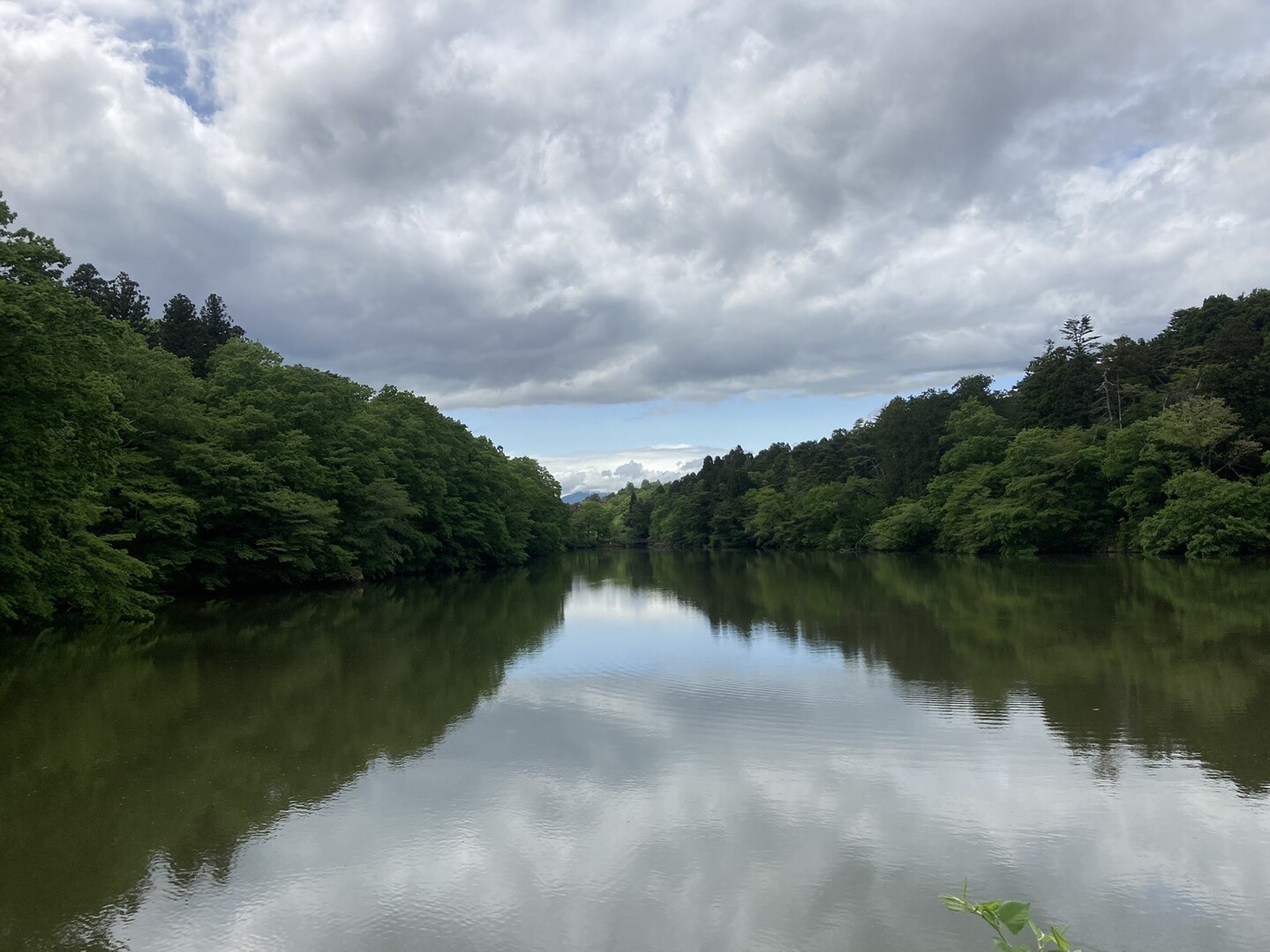 こんにちは^ ^ 今日は雨上がりで湿度... / OBsunさんのモーメント | YAMAP / ヤマップ