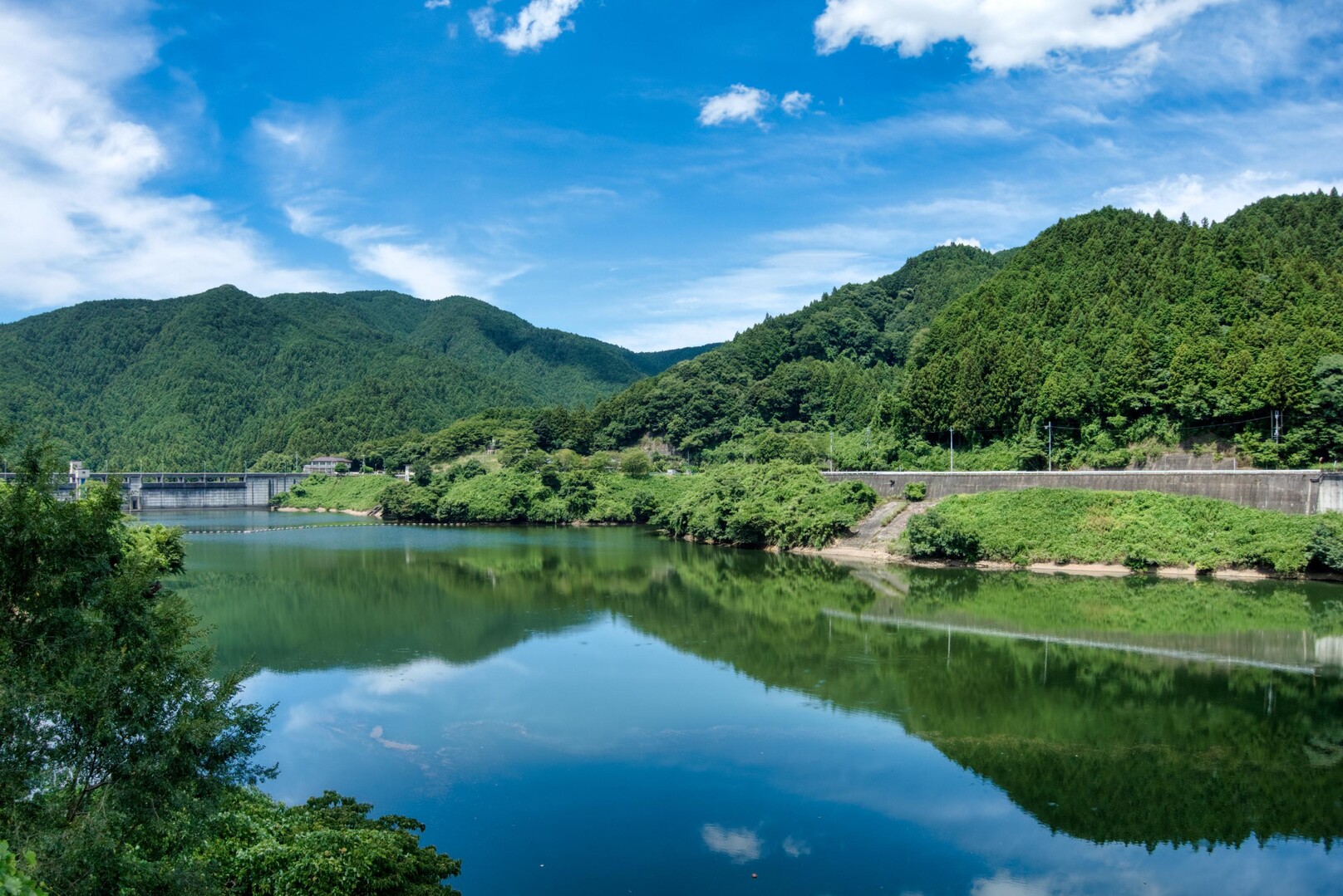 【奈百76】意外に好眺望な（天神山-高束山周回） / persさんの額井岳の活動データ | YAMAP / ヤマップ