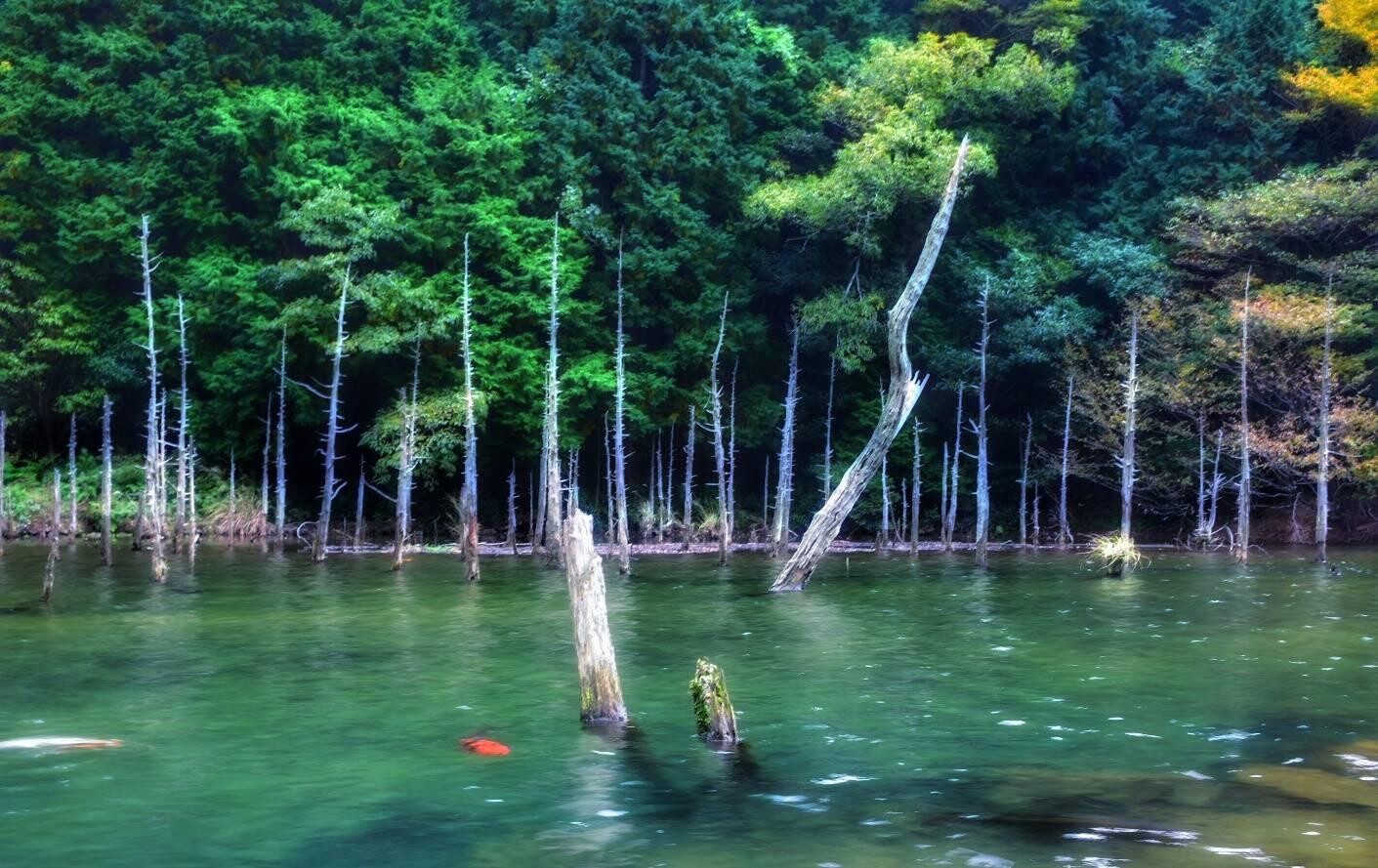 一位ヶ岳⭐︎ / Kei707さんの一位ヶ岳の活動日記 | YAMAP / ヤマップ