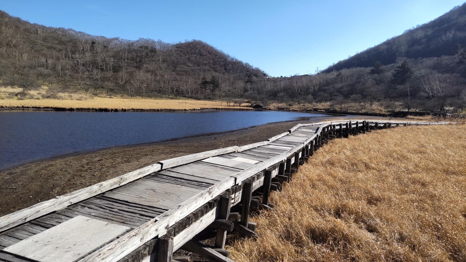 11月19日 地蔵岳の帰り道、赤城山の覚... / B.Bearさんのモーメント | YAMAP / ヤマップ