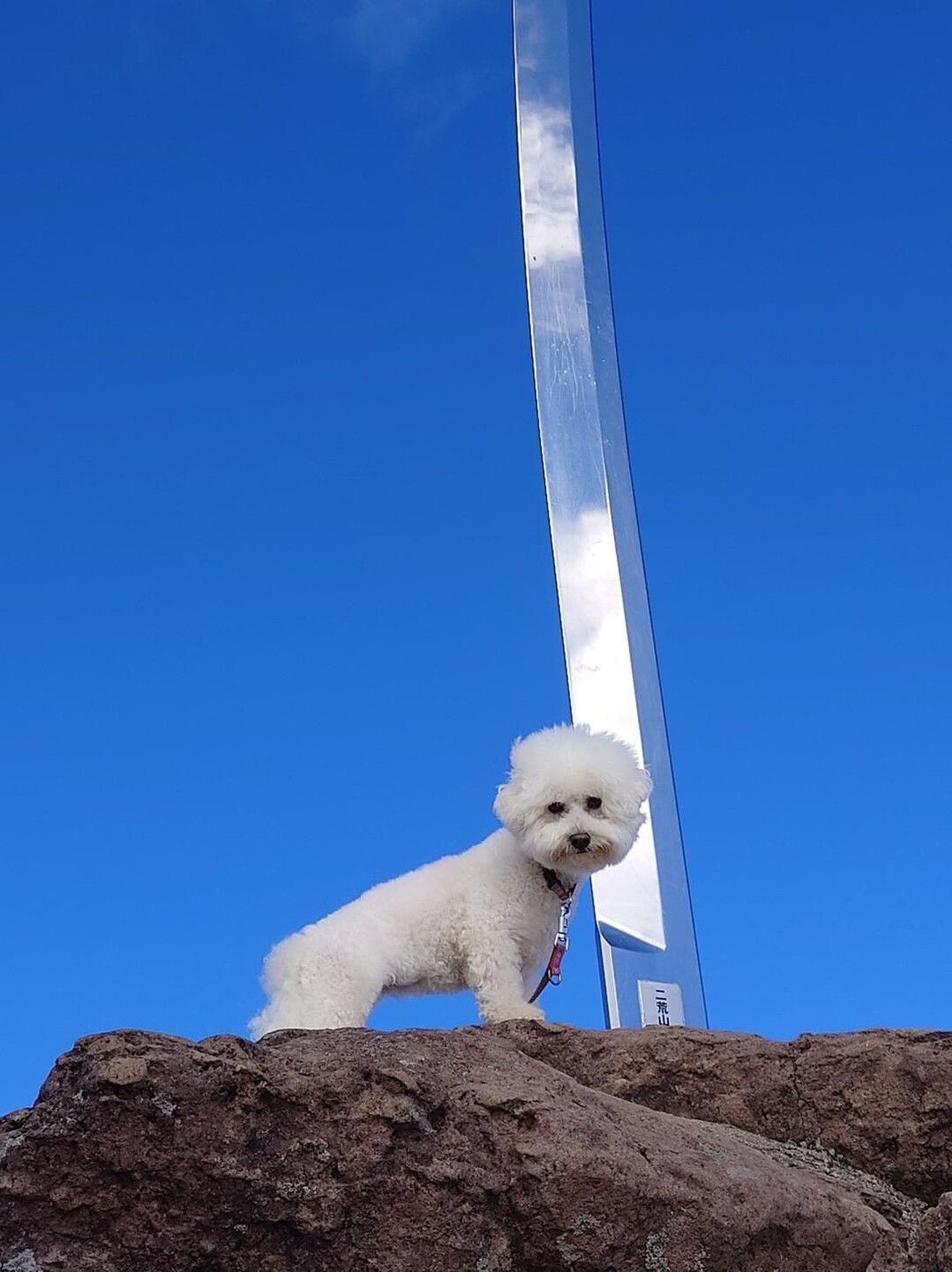 男体山 / jjさんの男体山の活動データ | YAMAP / ヤマップ