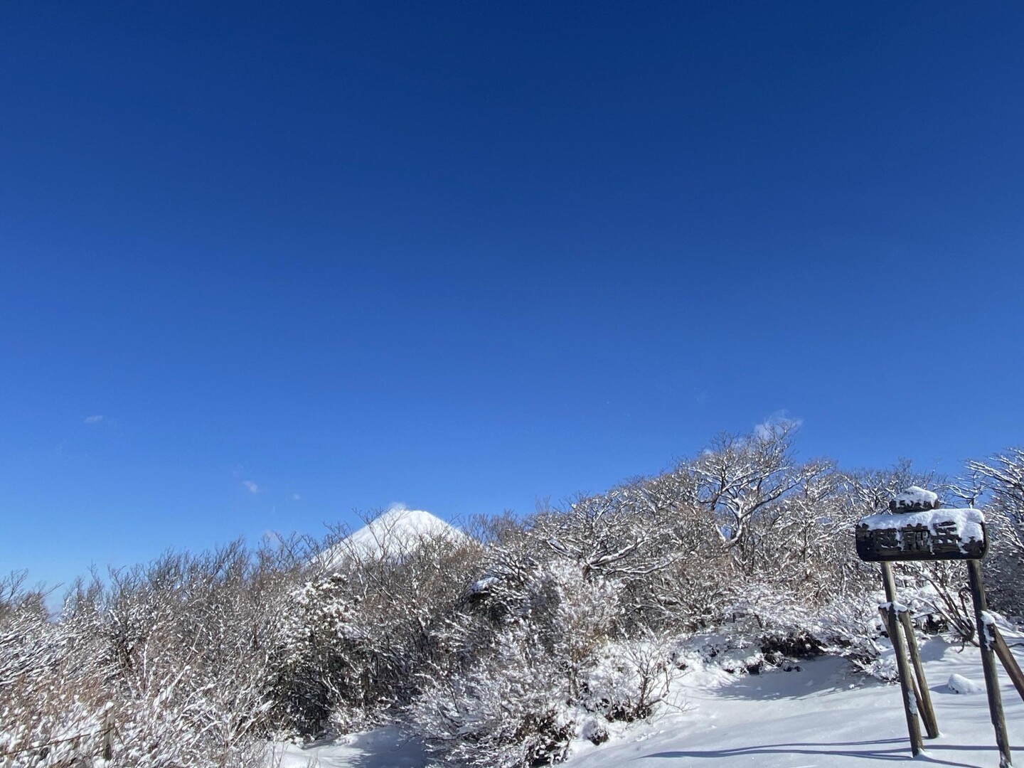 越前岳 / mahmoさんの愛鷹山・大岳・黒岳の活動データ | YAMAP / ヤマップ