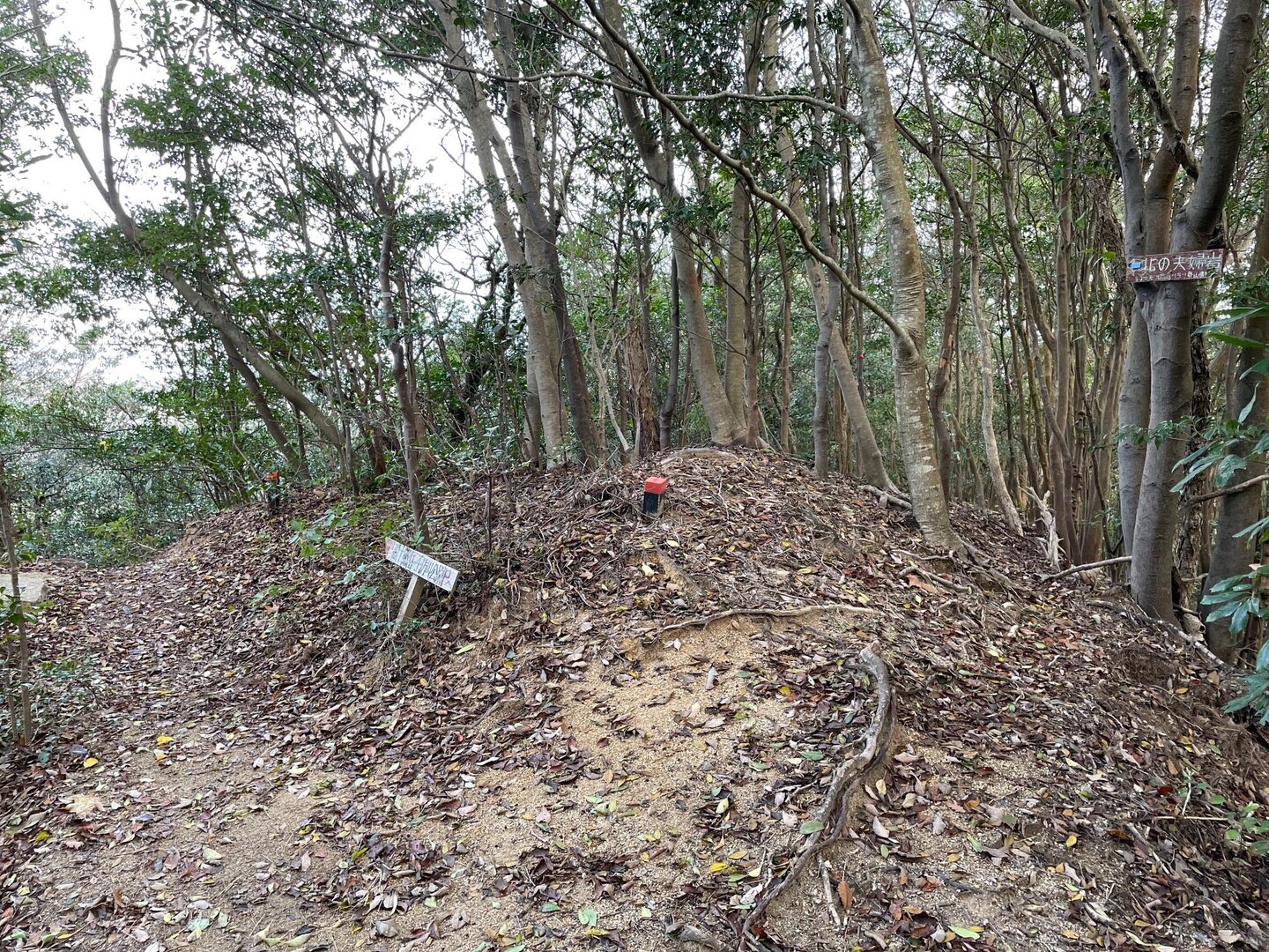 YS-153さんの投稿したフィールドメモ | YAMAP / ヤマップ