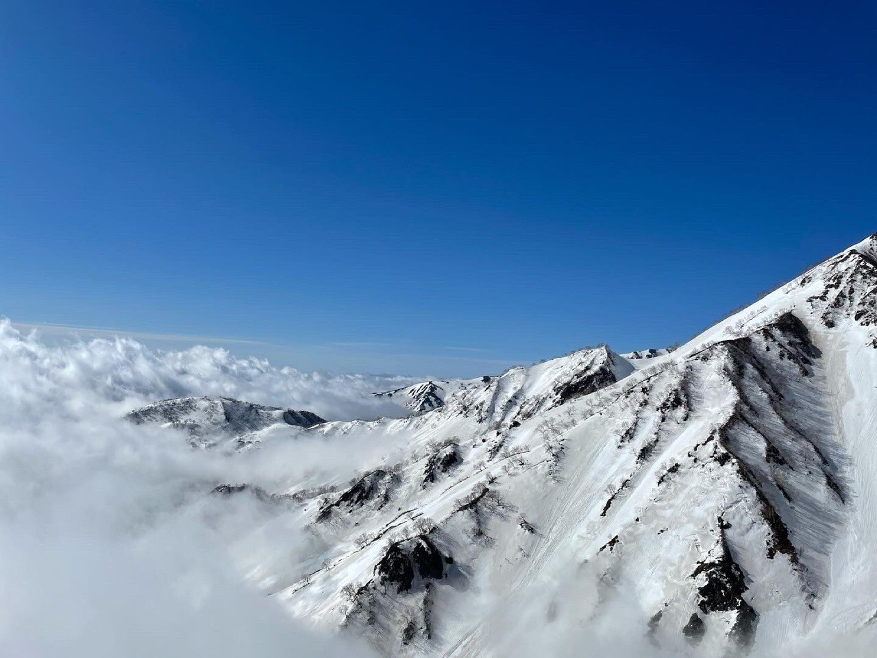 白馬主稜 / TJさんのクライミングの活動データ | YAMAP / ヤマップ
