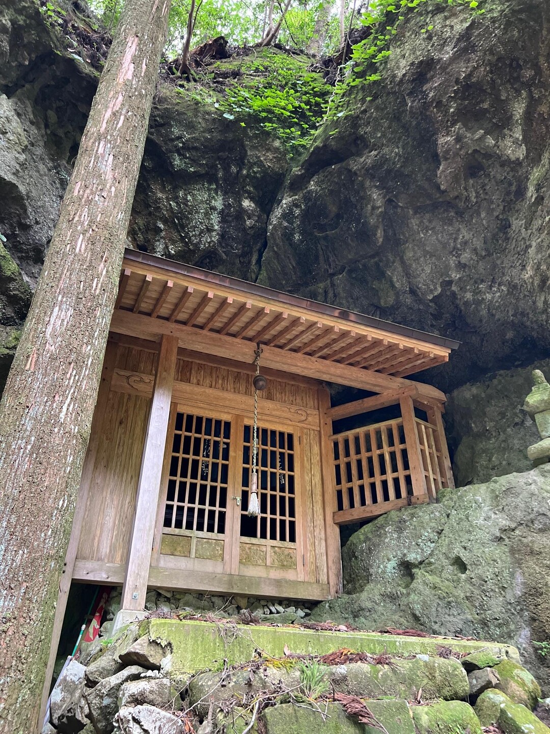 新大分百山60 大将陣山 / EMIさんの大将陣山の活動データ | YAMAP / ヤマップ