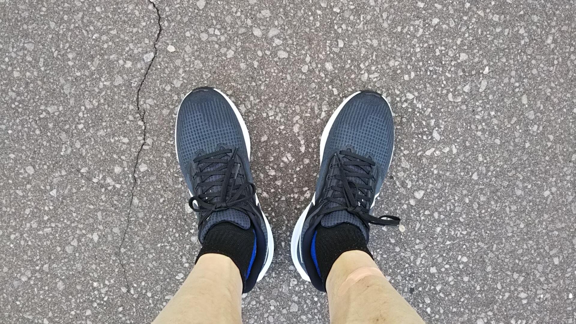 ニュー👟試運転RUN🏃 / keiさんの函館市の活動データ | YAMAP / ヤマップ