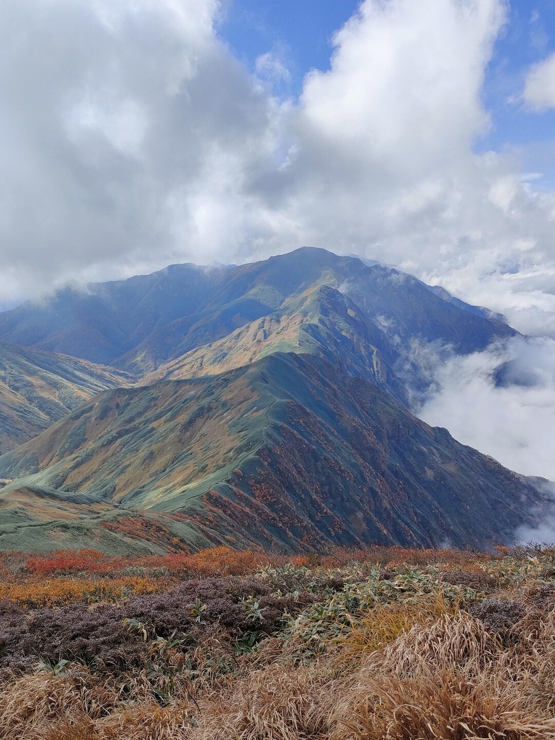 谷川岳。肩の小屋からオジカ沢ノ頭へ。 / hirokyuuさんの谷川岳・七ツ小屋山・大源太山の活動データ | YAMAP / ヤマップ