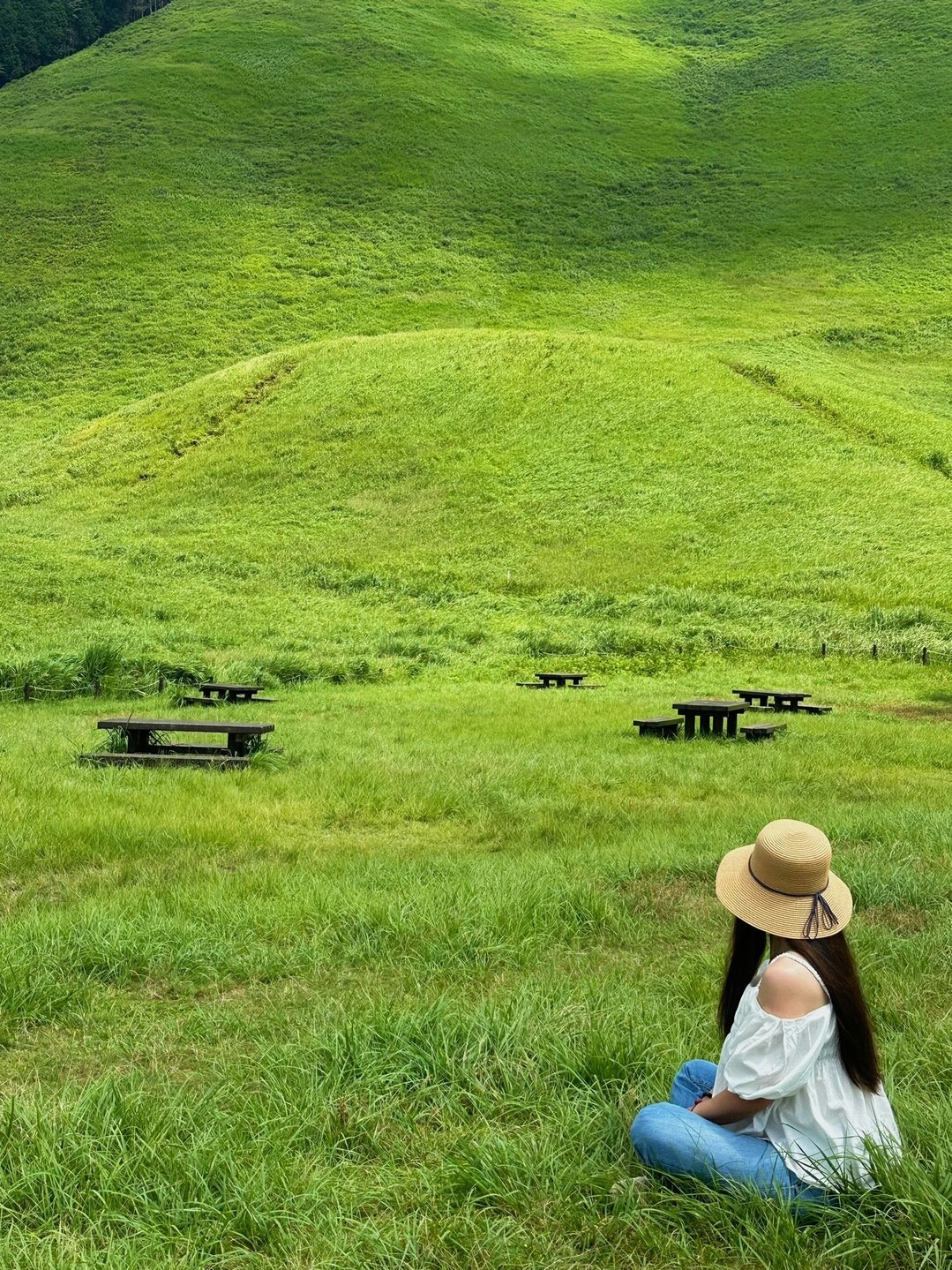 真夏の曽爾高原🫶 / amor_akaneさんのモーメント | YAMAP / ヤマップ