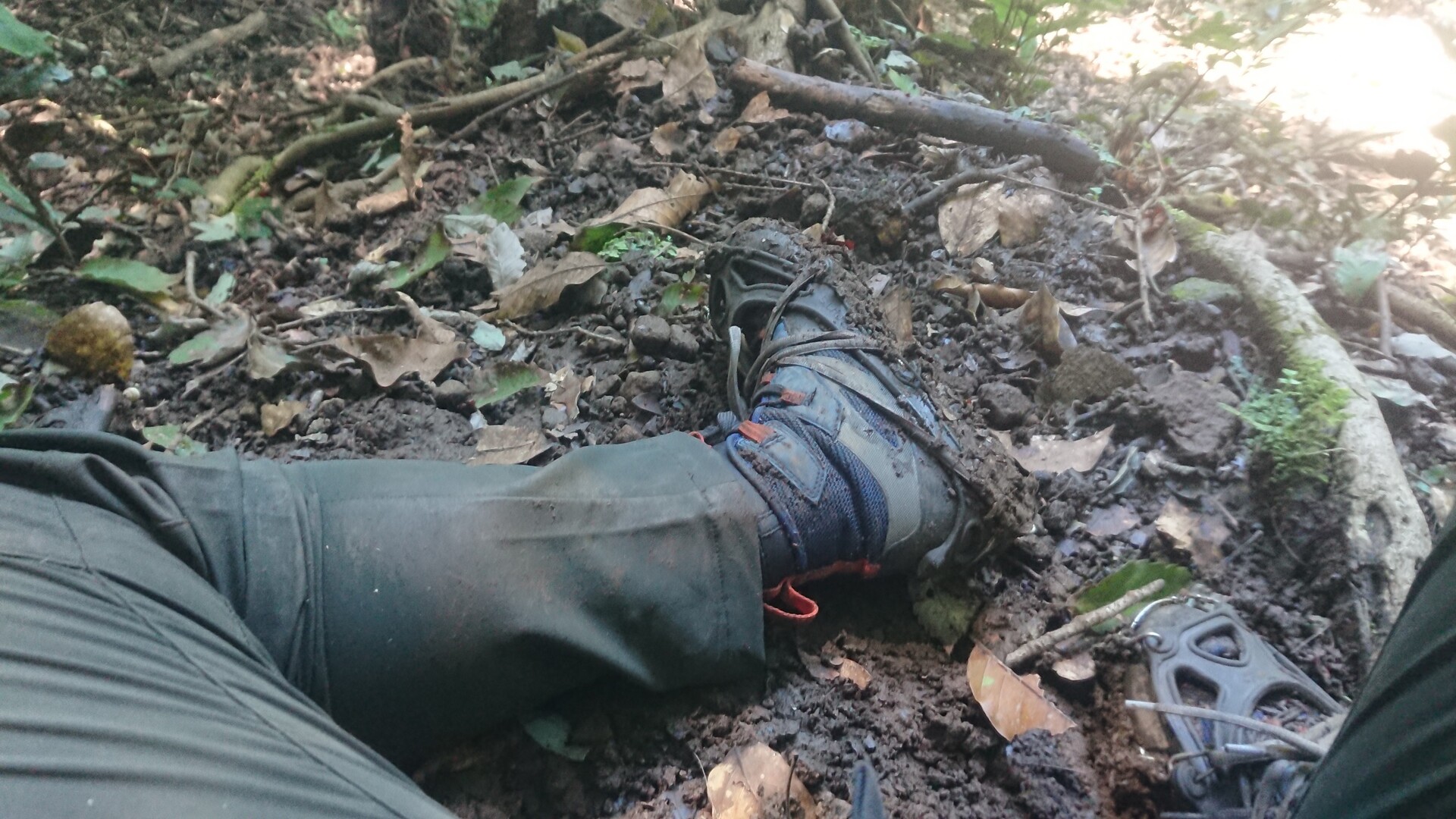 捜索 鋸山（千葉県）-2020-08-01 / mk2さんの鋸山の活動データ | YAMAP / ヤマップ