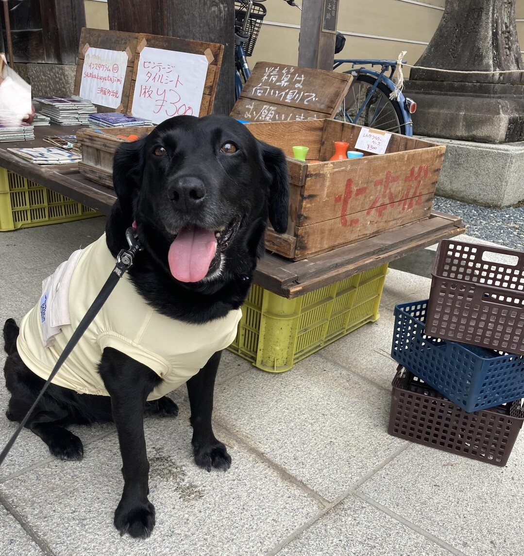 今日は、毎月25日に開かれる北野天満宮の... / みかん🐕‍🦺🍊さんのモーメント | YAMAP / ヤマップ