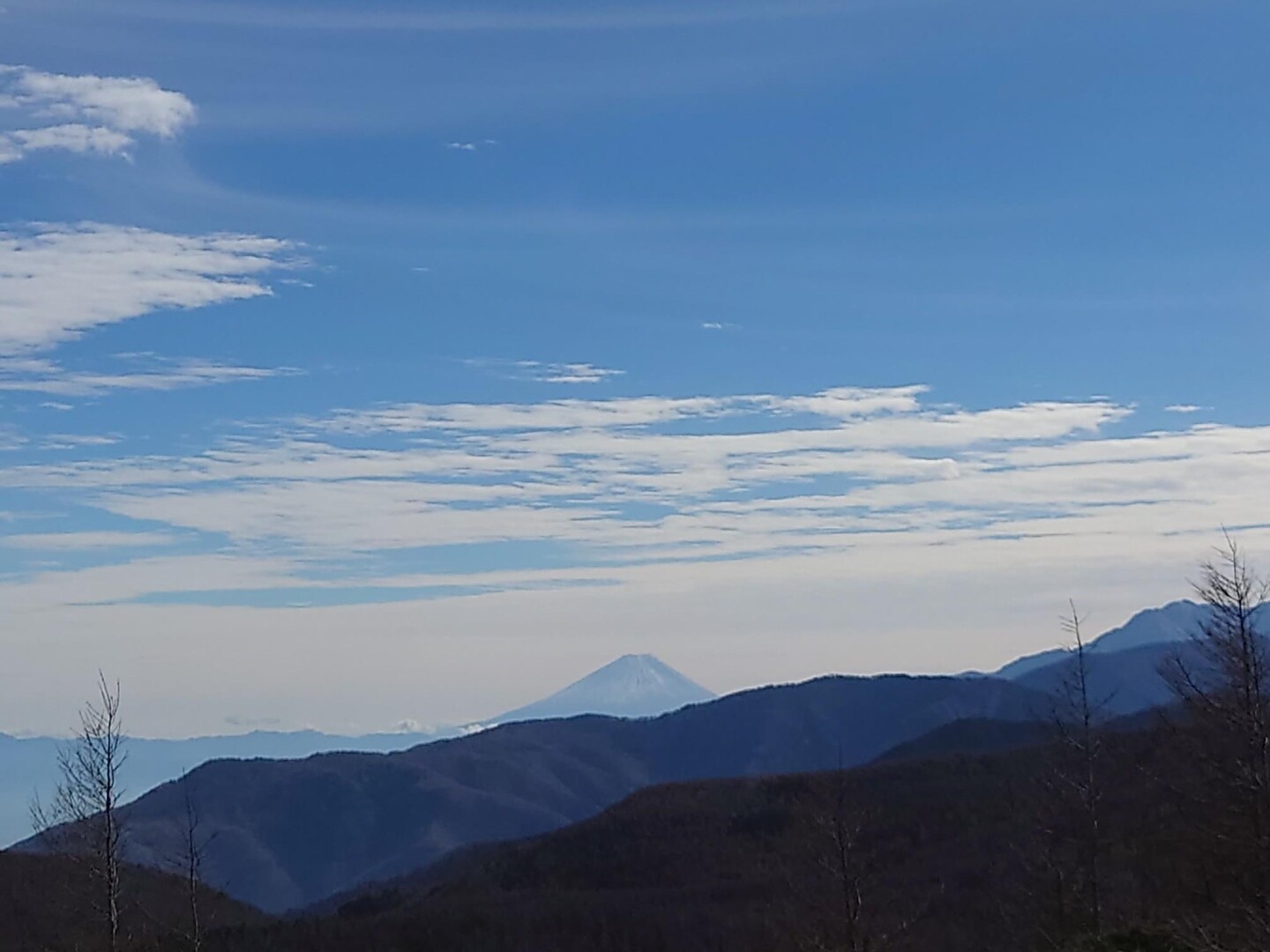 入笠山〜青と白の住処〜 / marzさんの入笠山の活動データ | YAMAP / ヤマップ