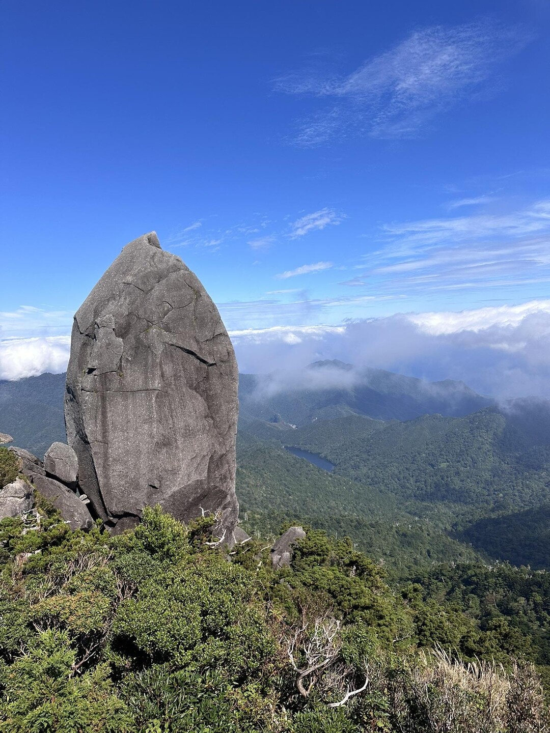 太忠岳 / JUNさんさんの屋久島・宮之浦岳の活動データ | YAMAP / ヤマップ