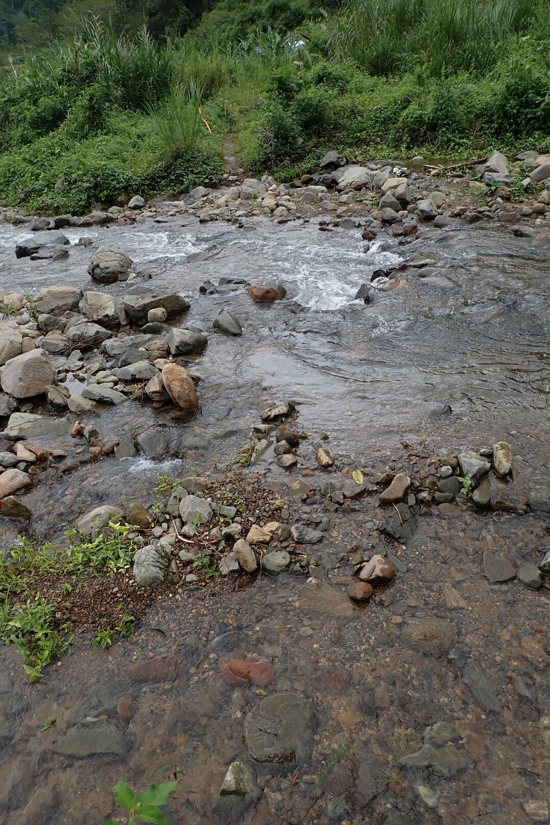 Cisadon trail ~ Gn Ciung ~ Gn Batu 〜 Puncak Silala / 通天閣人さんのクタ山の活動データ ...
