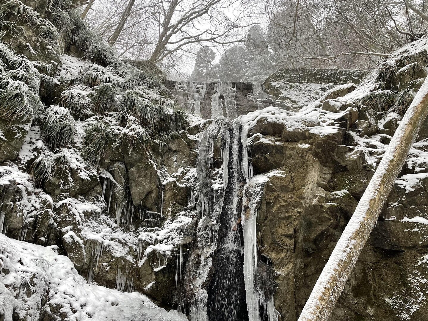 今年になって初めての金剛山🤗 / do-kichiさんの金剛山・二上山・大和葛城山の活動データ | YAMAP / ヤマップ