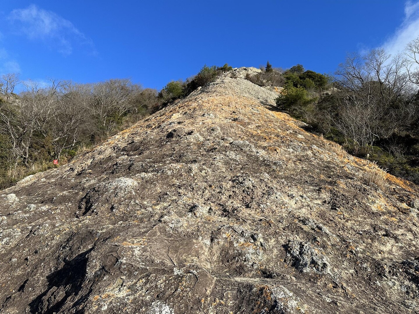 小野アルプスを縦走しよう。 / tamiwaさんの小野アルプス（紅山・惣山）の活動データ | YAMAP / ヤマップ