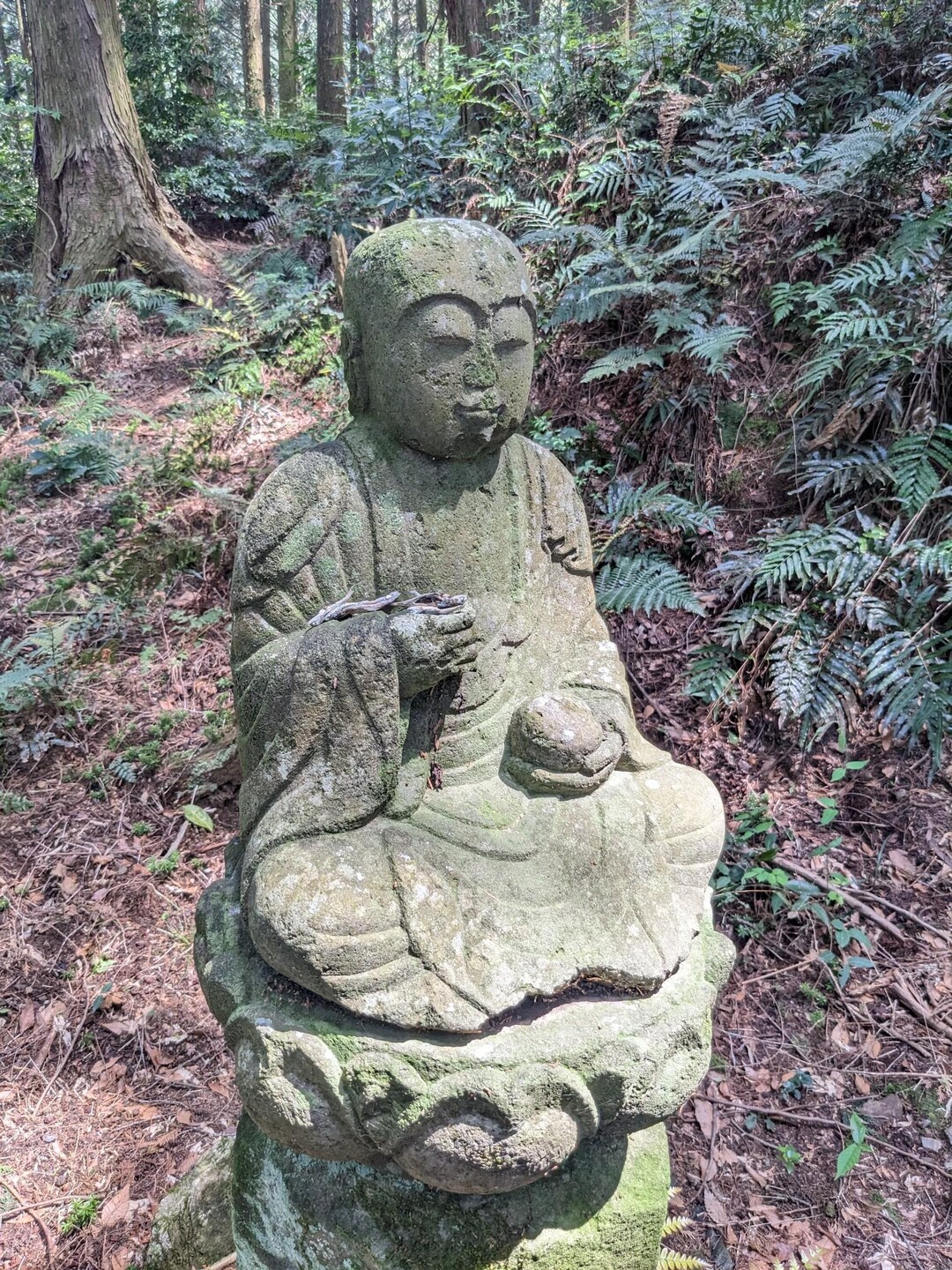 内山緑地から善院越 / mkhkさんの高良山・発心山・鷹取山の活動データ | YAMAP / ヤマップ