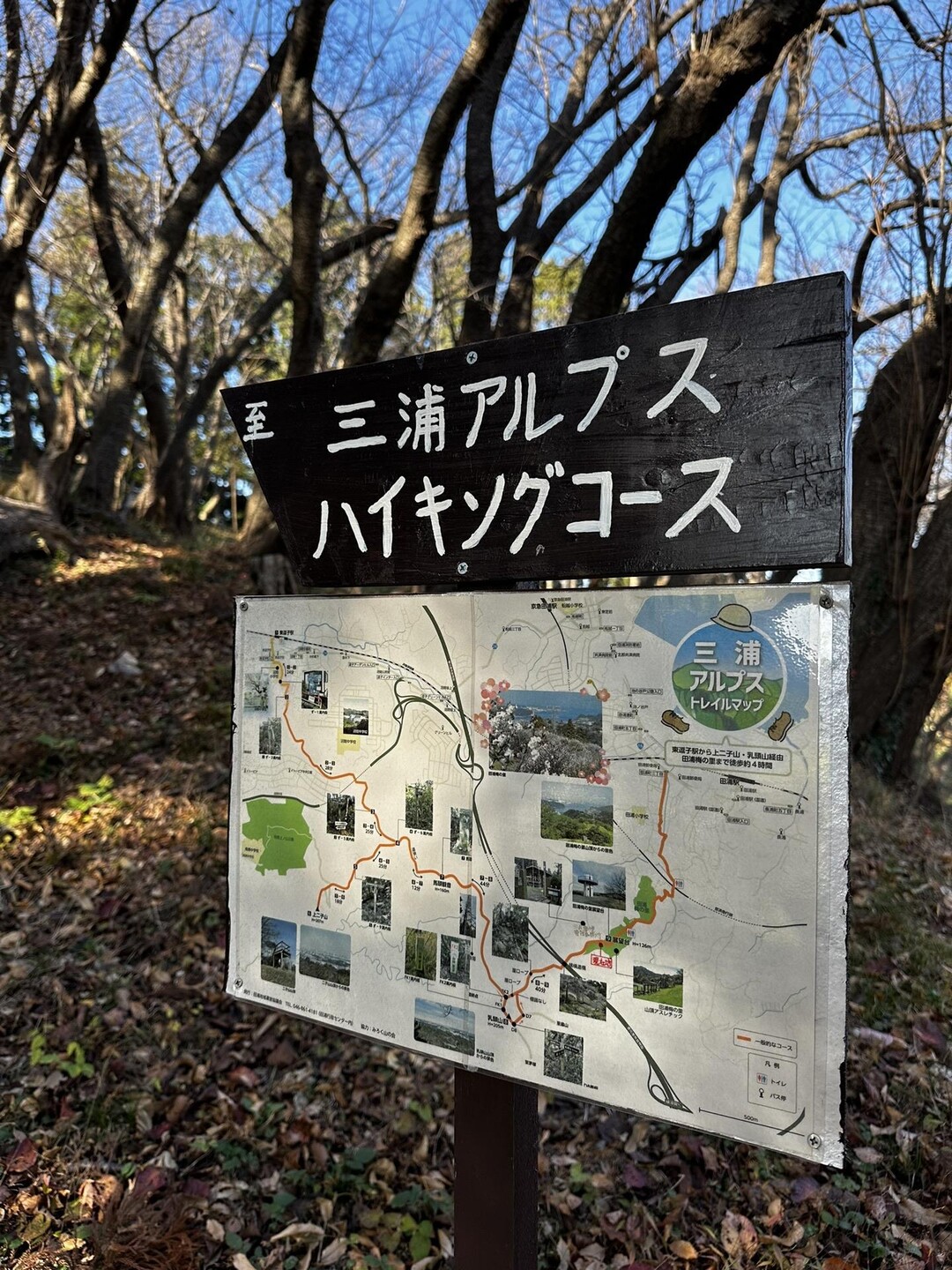 乳頭山・茅塚・観音塚・ソッカ・仙元山 / moeさんの三浦アルプス・二子山・仙元山の活動データ | YAMAP / ヤマップ