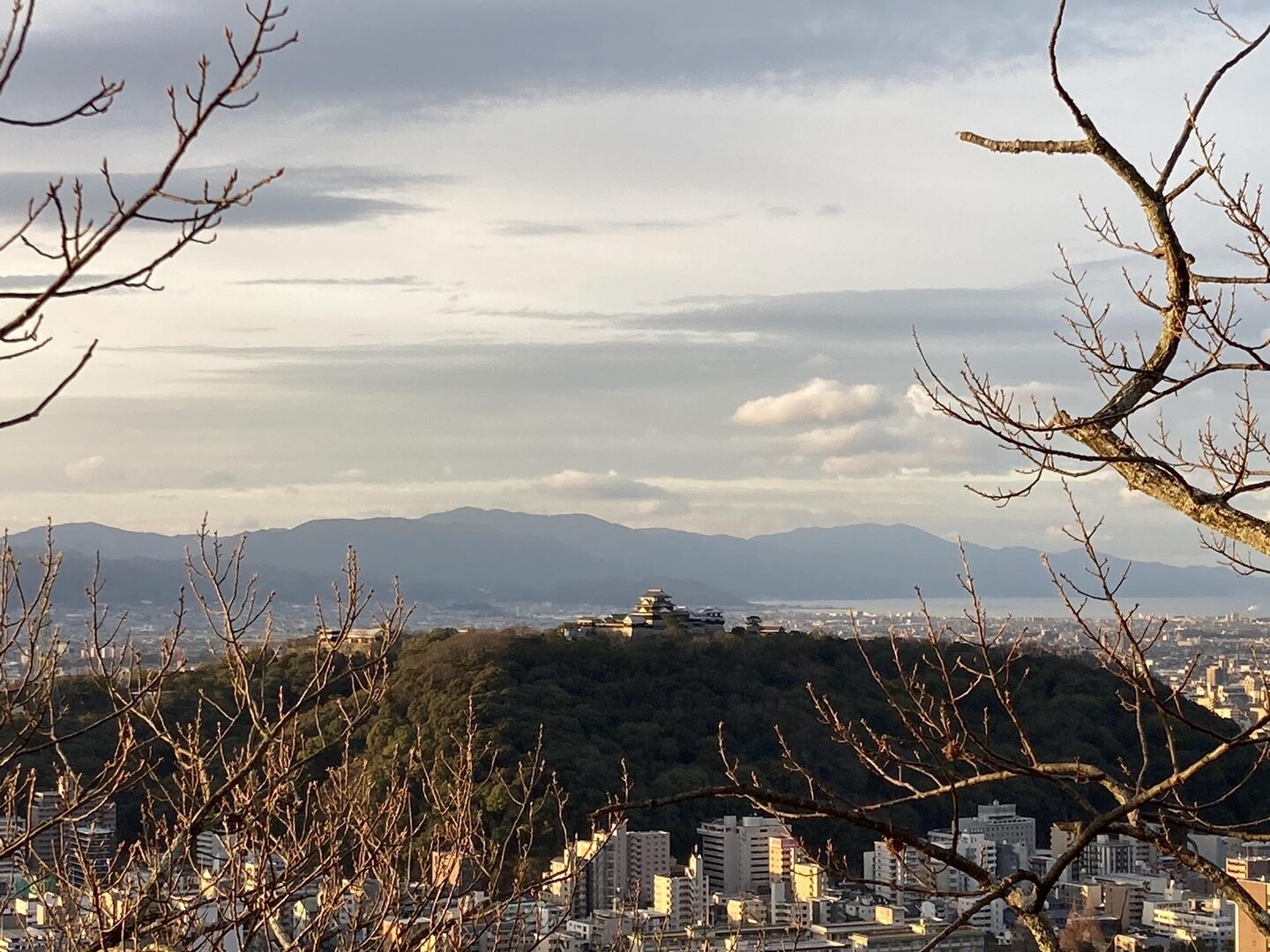 御幸寺山 / Ypaaさんの四国遍路その15の活動データ | YAMAP / ヤマップ