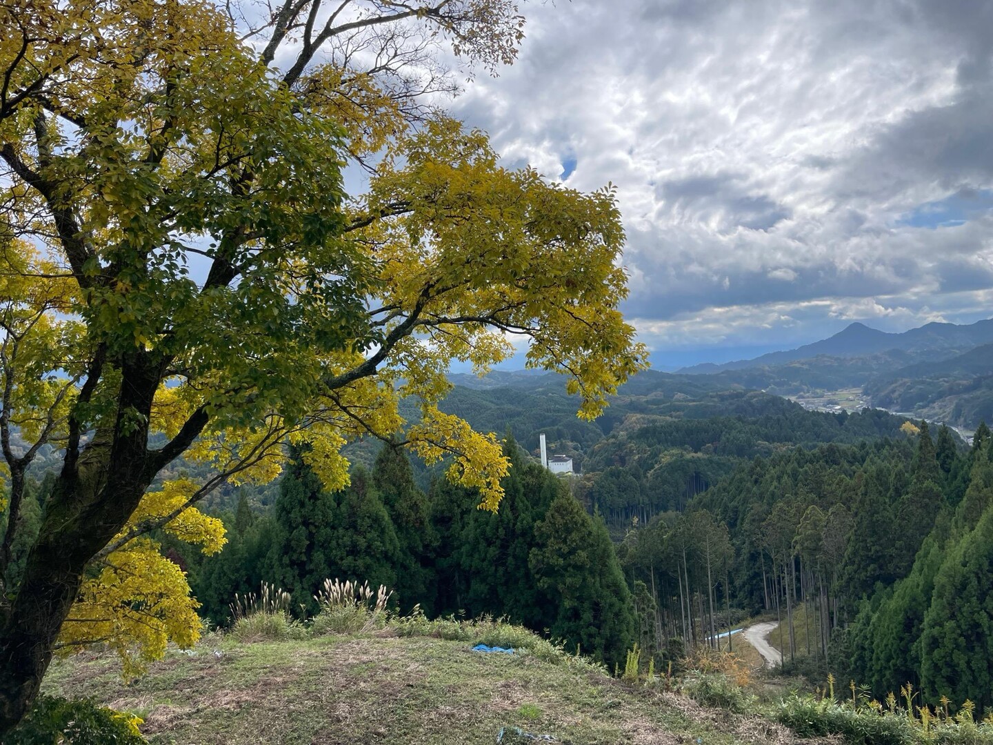 城山 / きよんさんの伊那佐山・井足岳の活動データ | YAMAP / ヤマップ