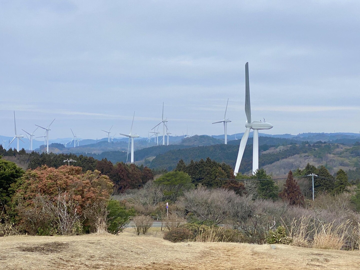 髻山 / Kidさんの青山高原の活動日記 | YAMAP / ヤマップ