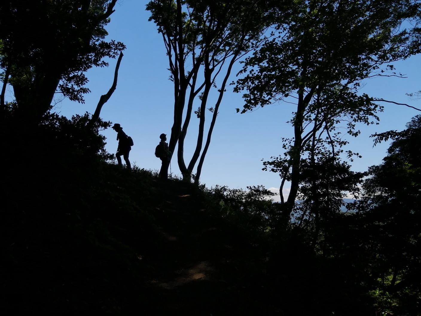 manabeeのページ | YAMAP / ヤマップ