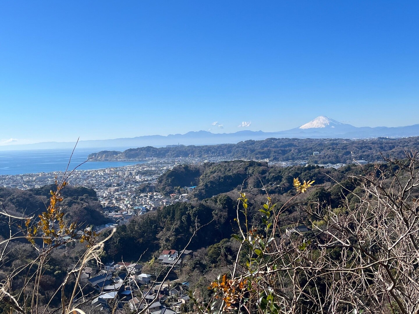 元旦🎍からいざ鎌倉詣り、11ピーク⛰ / mskふぅさんの鎌倉アルプス（大平山・天台山）の活動データ | YAMAP / ヤマップ