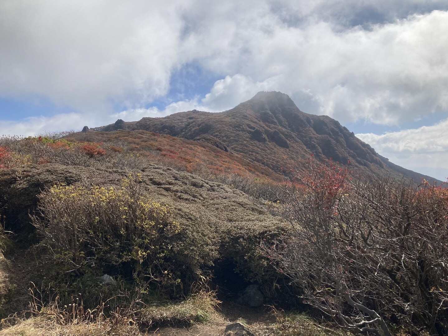 北大船山・大船山 / jingerさんの九重山（久住山）・大船山・星生山の活動データ | YAMAP / ヤマップ