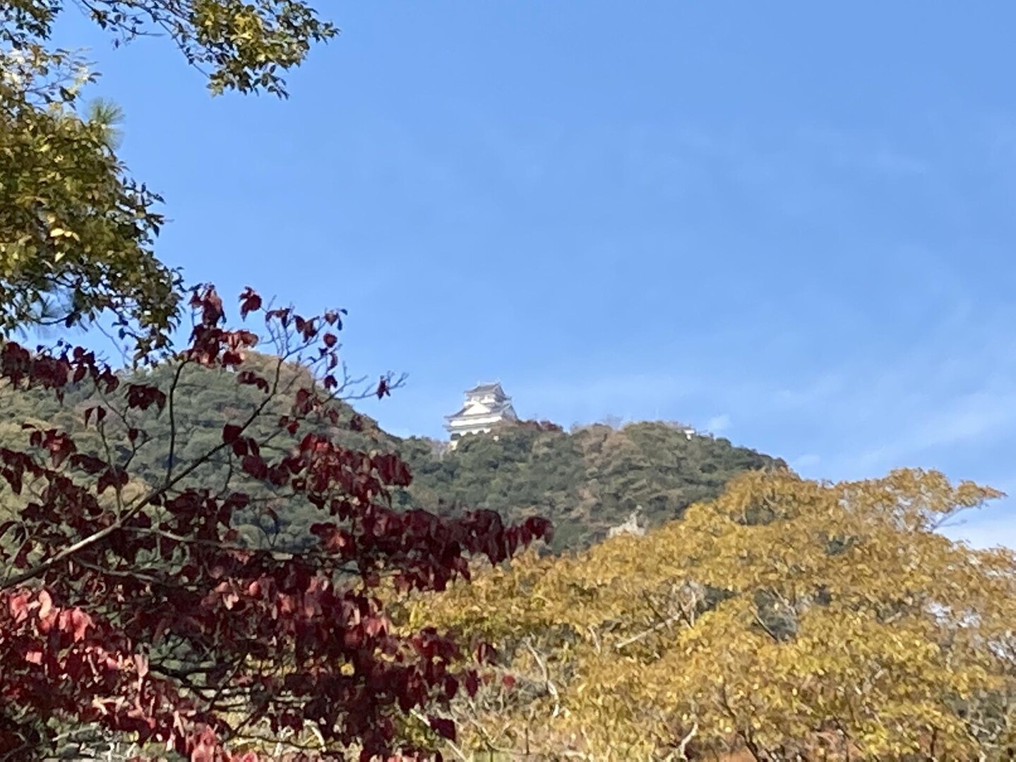 金華山 / バロンMAMAさんの金華山・洞山・舟伏山の活動データ | YAMAP / ヤマップ