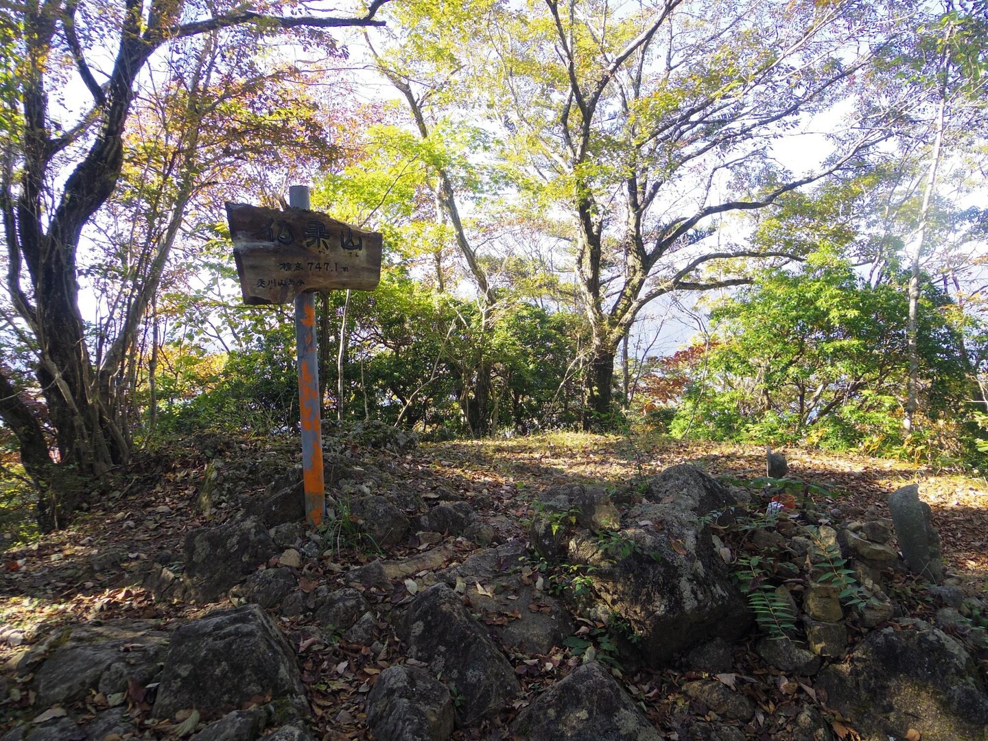 革籠石山・仏果山・高取山(半原高取山) / kuma3016さんの仙洞寺山・南山・津久井堂所山の活動データ | YAMAP / ヤマップ