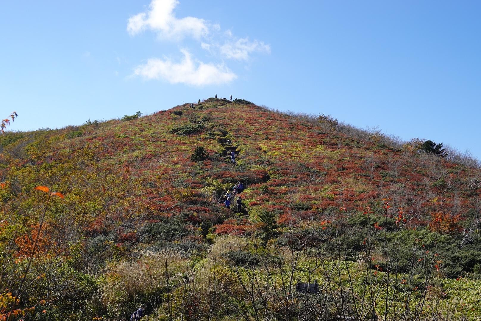 池ノ段 / ふくてんさんの比婆山・立烏帽子山・吾妻山の活動データ | YAMAP / ヤマップ